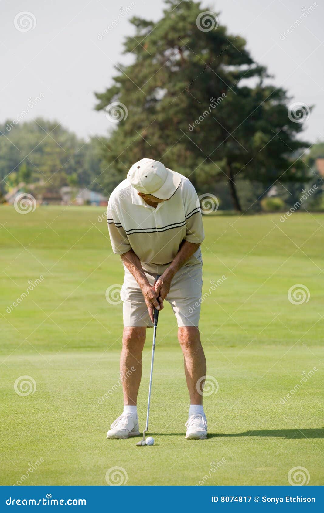 Elderly Man Playing Golf stock image. Image of male, recreation - 8074817