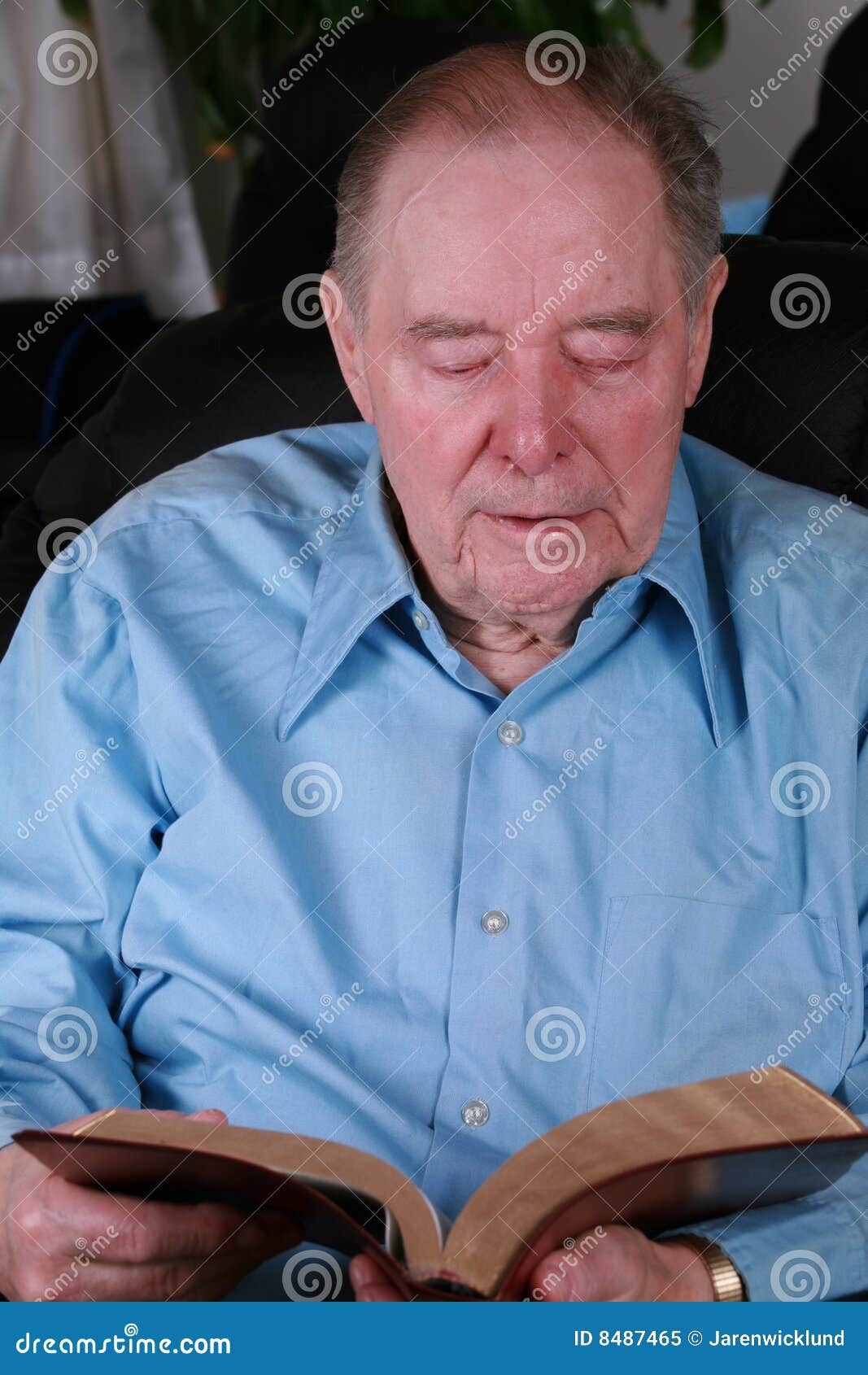 Elderly man reading Bible stock image. Image of book, healthy - 8487465