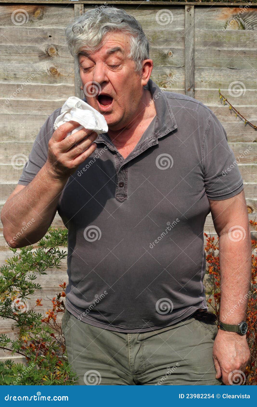 Elderly man sneezing. stock photo. Image of cold, sneezing - 23982254