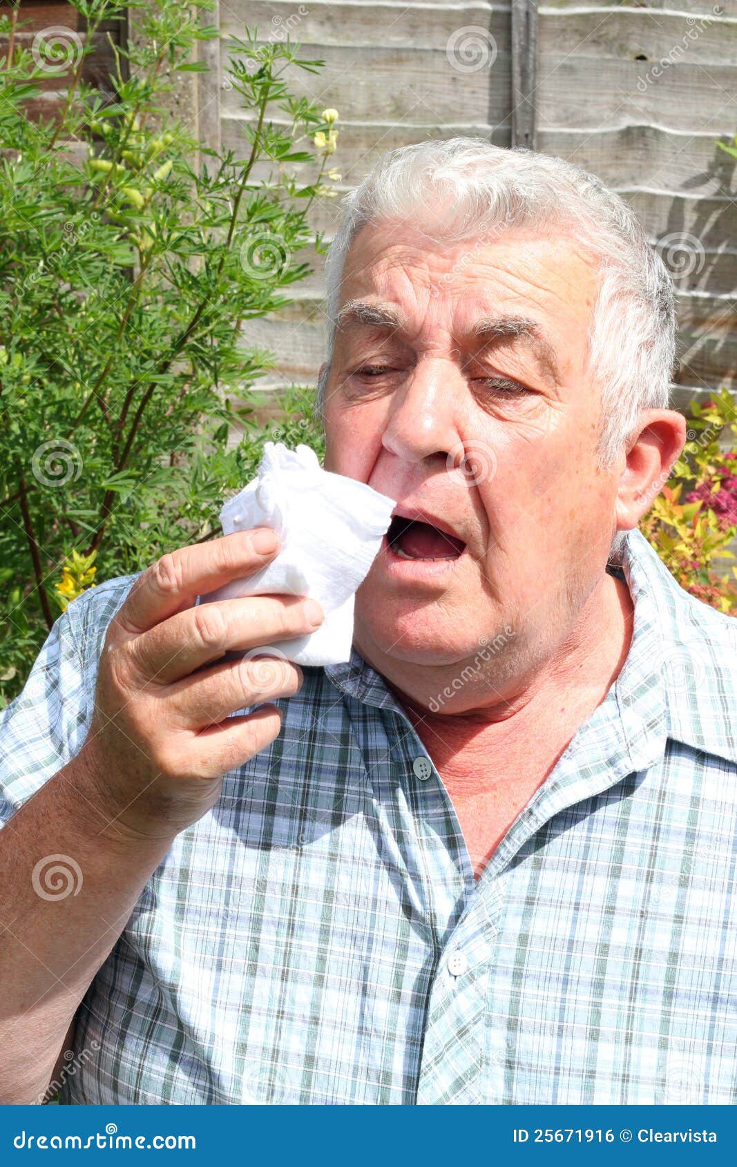 Elderly Man Sneezing Closeup. Stock Photo - Image of germs, summertime ...
