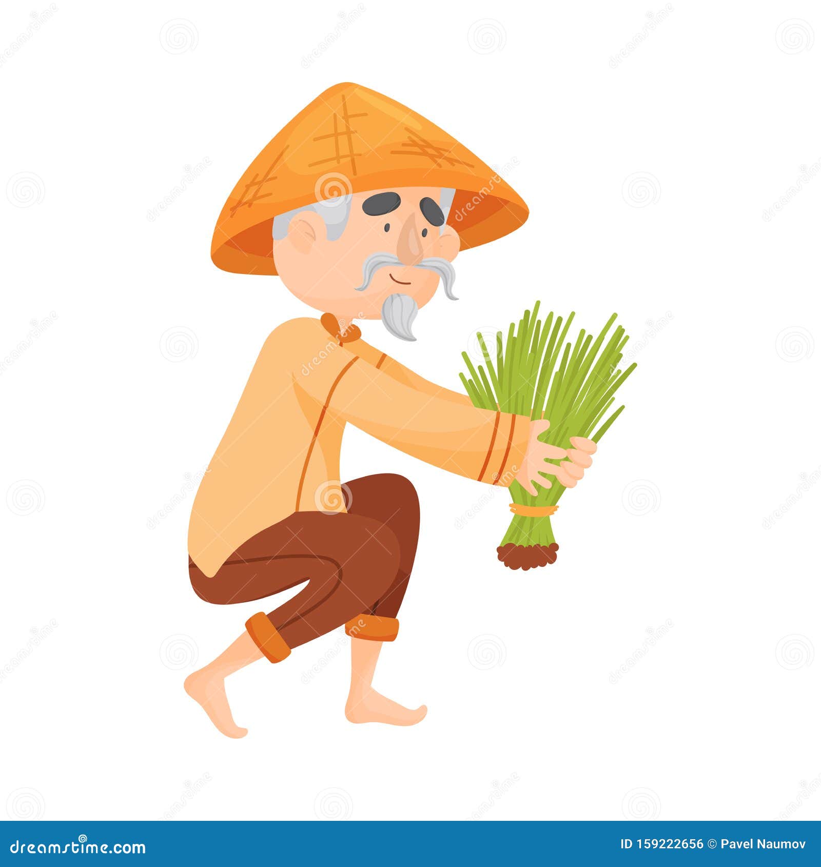 Elderly Man is Planting Rice Sprouts. Vector Illustration. Stock Vector ...