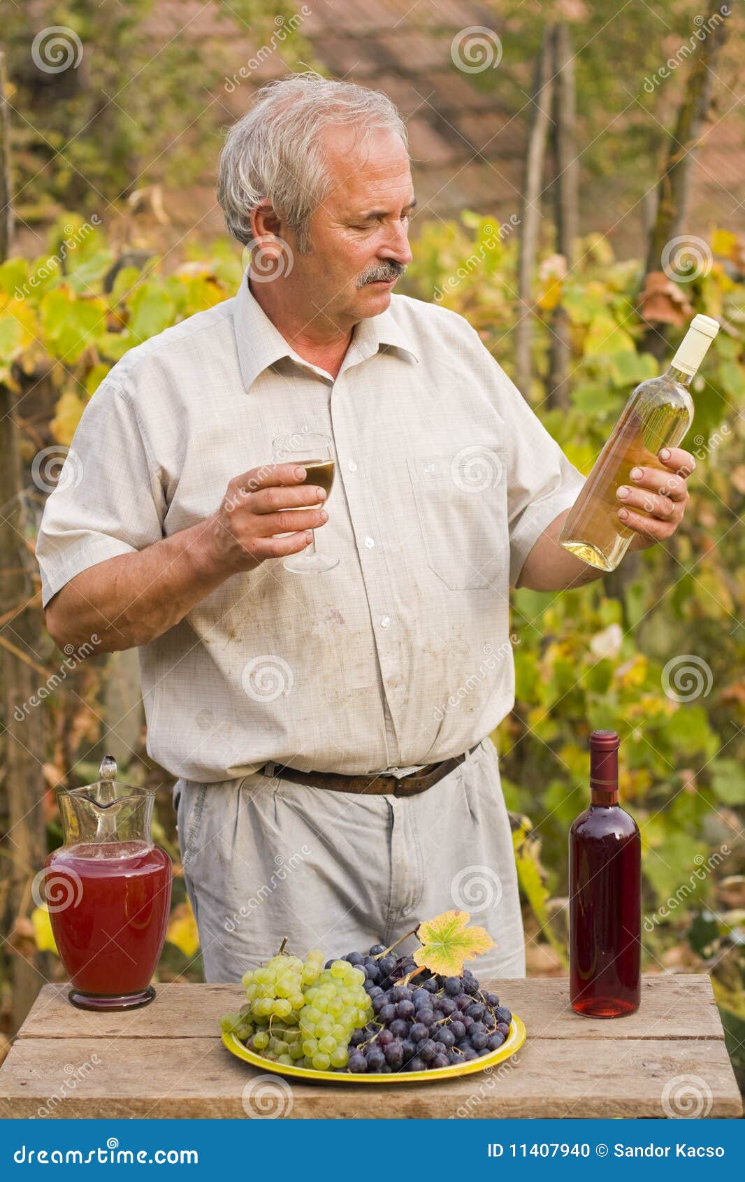 Elderly Man with Wine stock photo. Image of lifestyle - 11407940