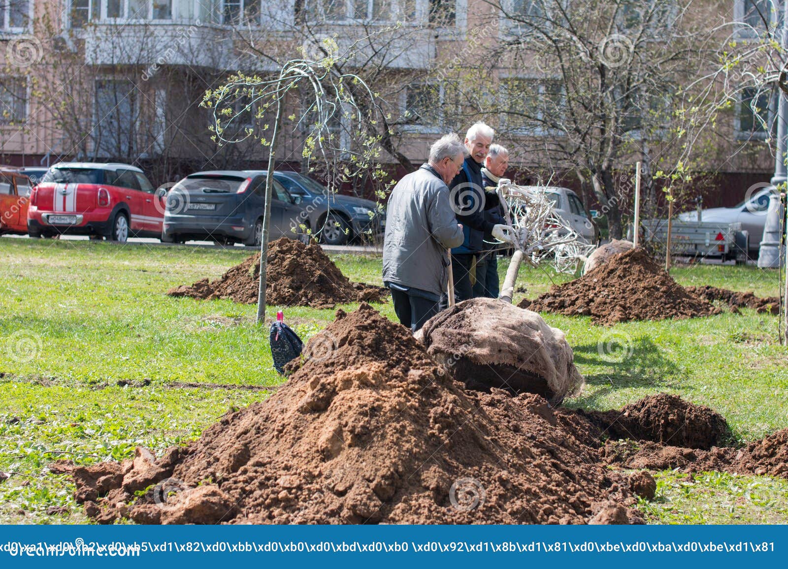 Elderly People are Planting Trees in the Yard. Editorial Photography ...