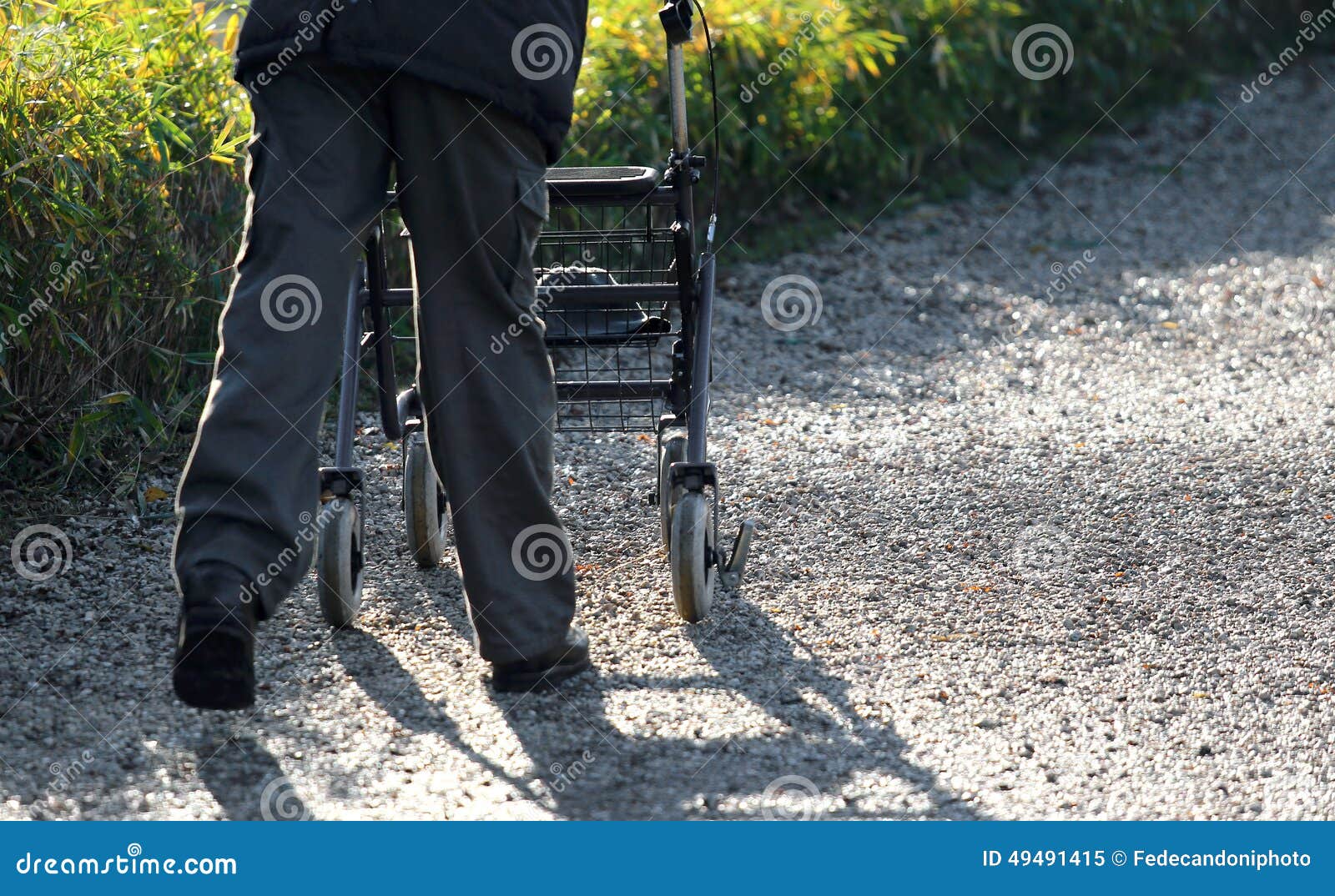 Elderly with a Walker during the Walk in the Park Stock Image - Image ...