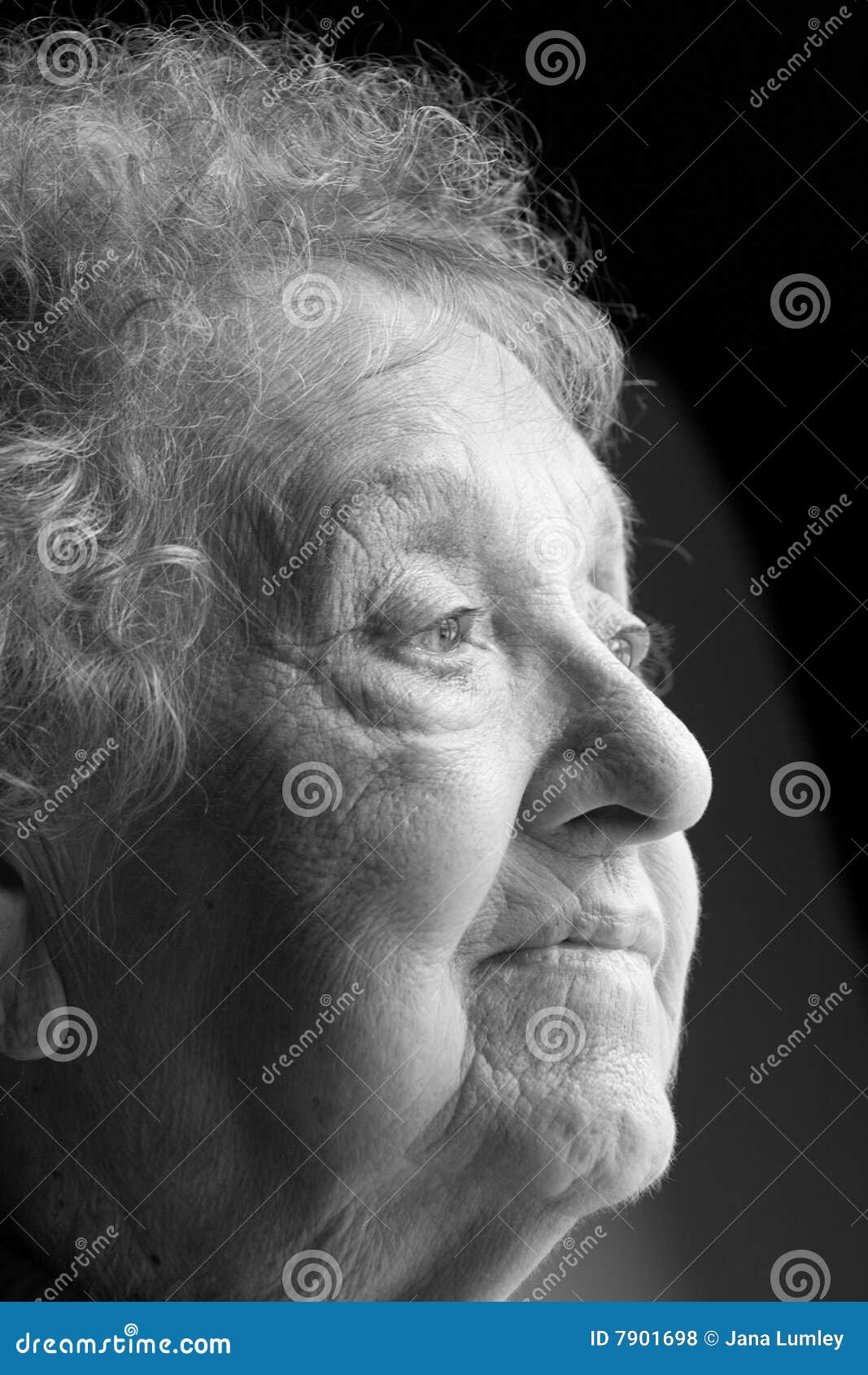 Elderly Woman Profile stock photo. Image of portrait, thinking - 7901698