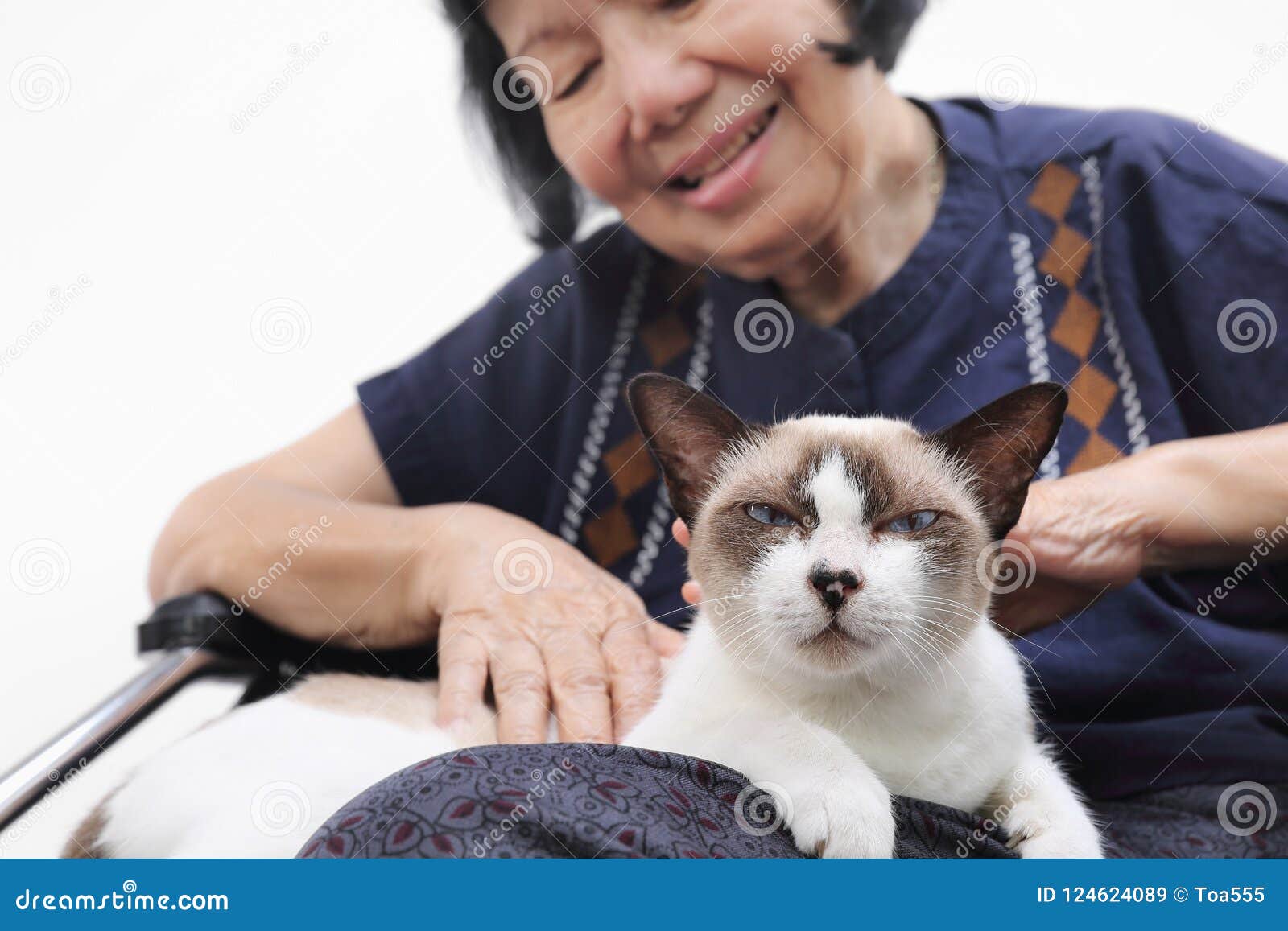 Cat Background Retirement Stock Photos - Free & Royalty-Free Stock ...