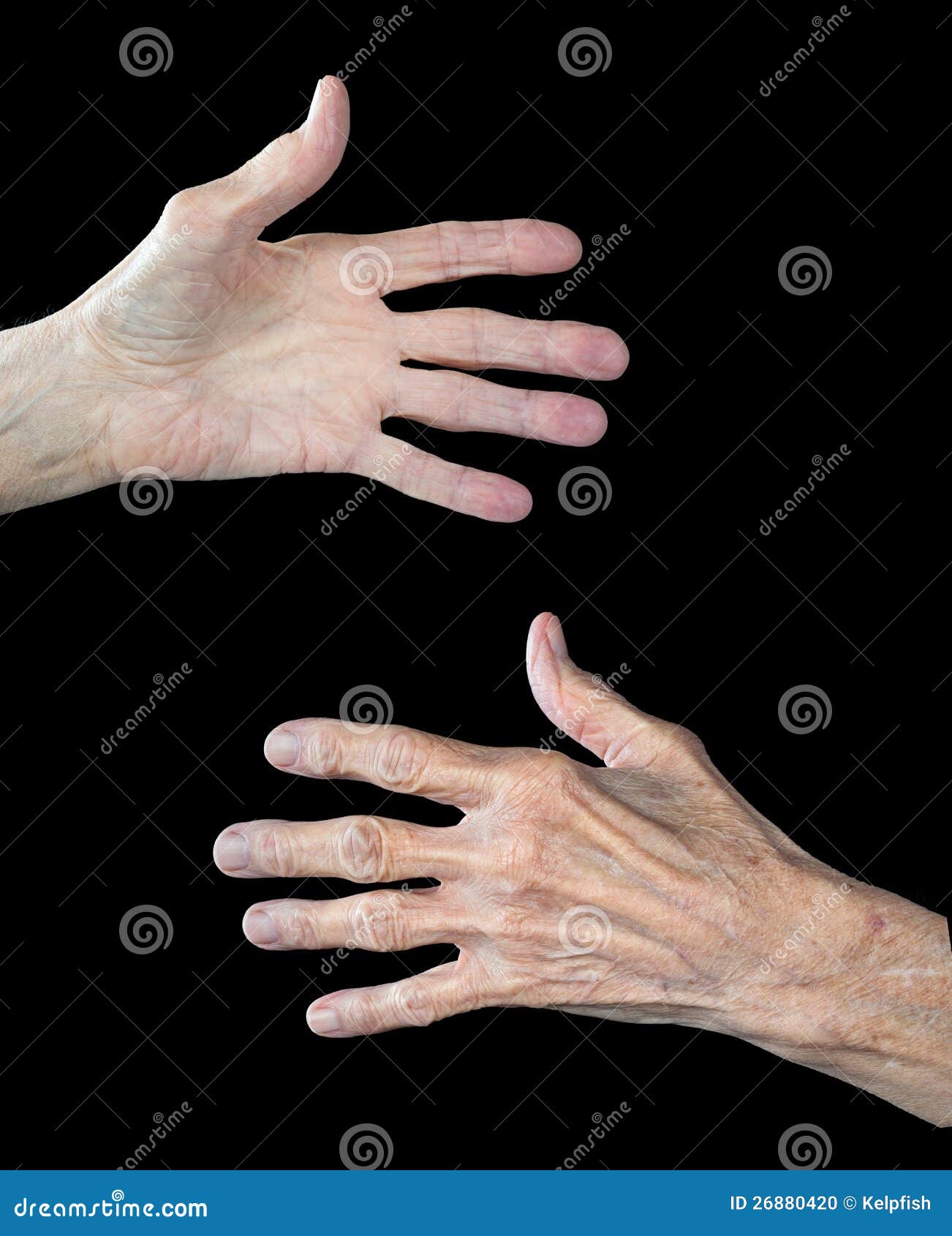 Elderly woman s hands stock photo. Image of palm, fingernails - 26880420