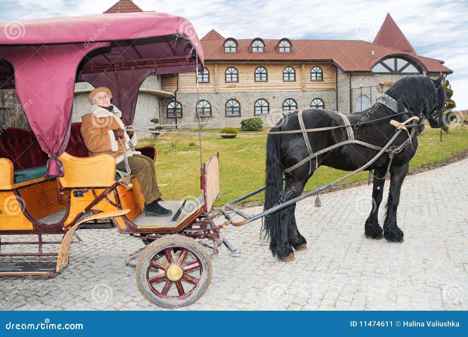 Elderly Woman Sit in Carriage Stock Image - Image of mare, person: 11474611