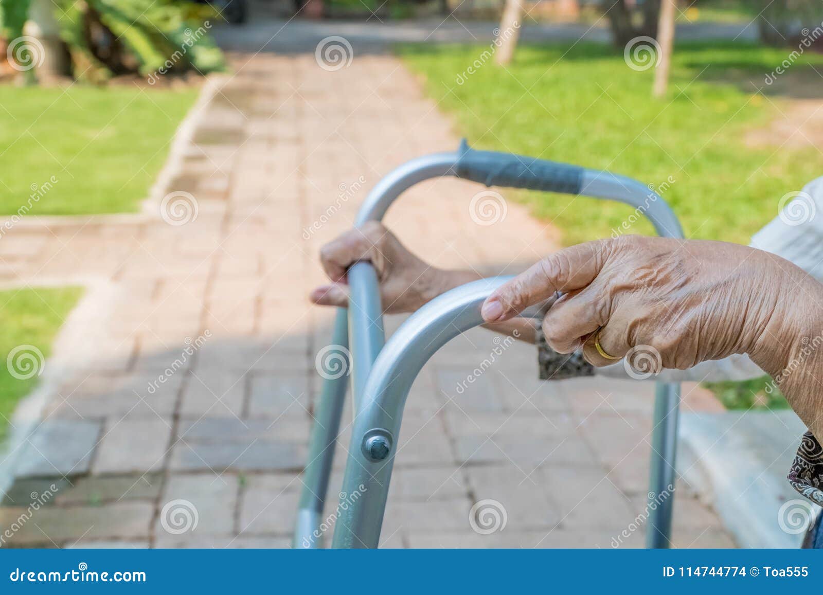 Elderly Woman Using Walker in Backyard Stock Photo - Image of care ...