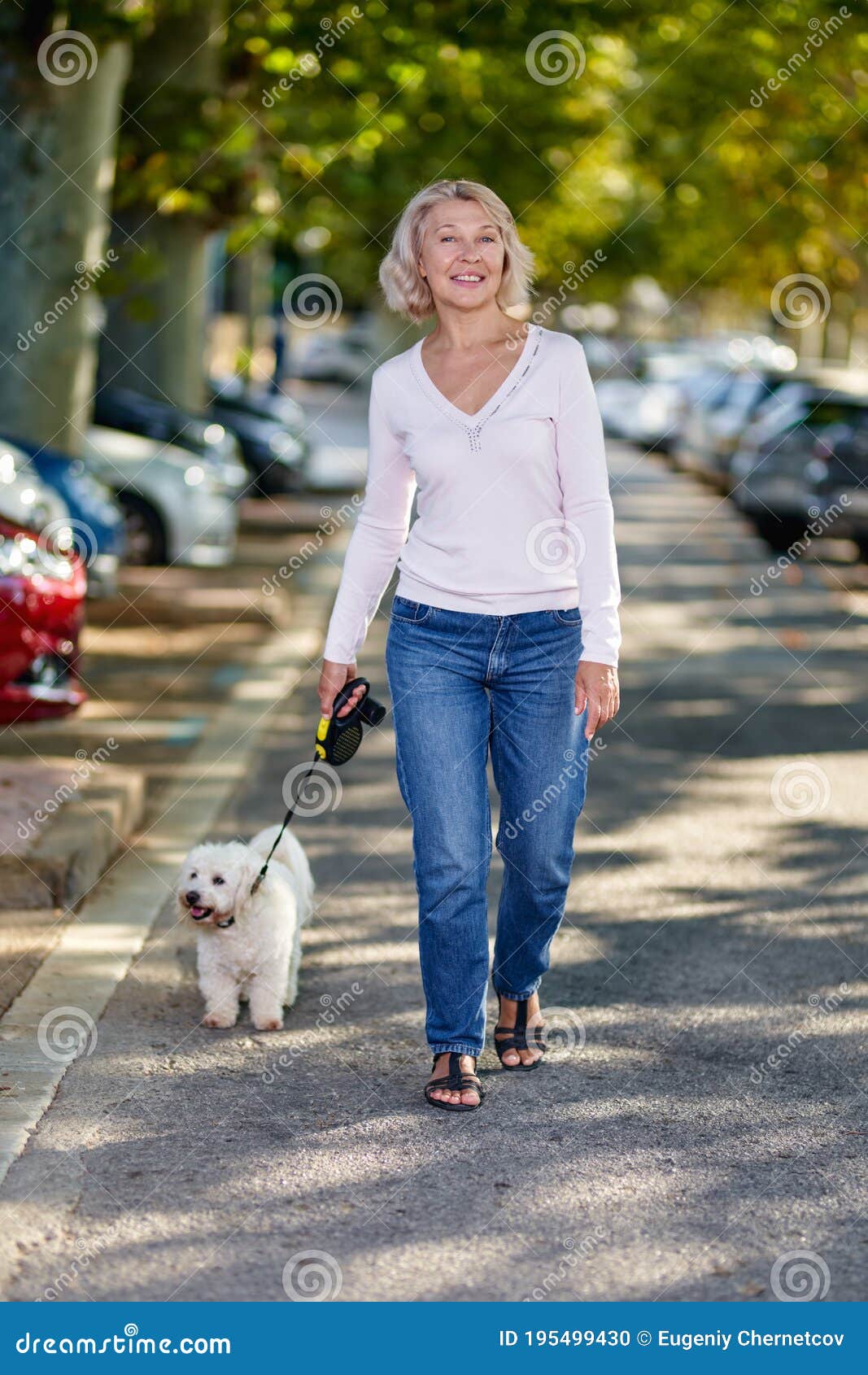 Elderly Woman Walking with a Dog Outdoors. Stock Photo - Image of ...