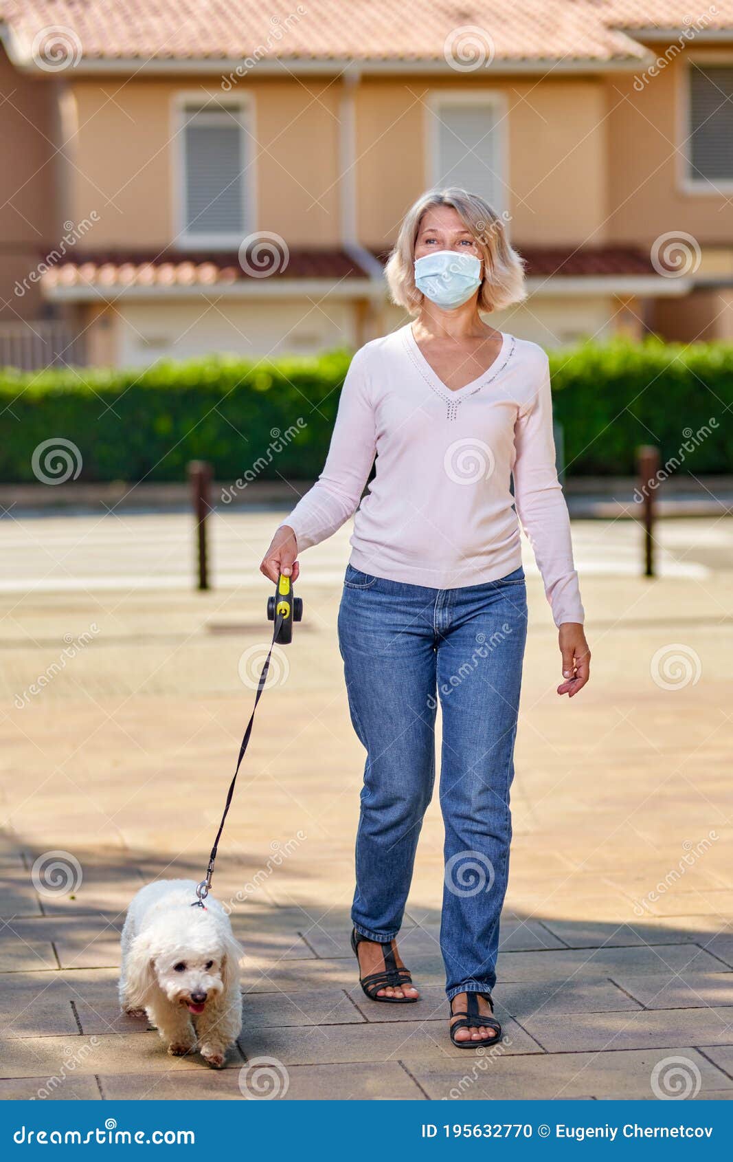 Elderly Woman Walking with a Dog Outdoors Stock Photo - Image of master ...