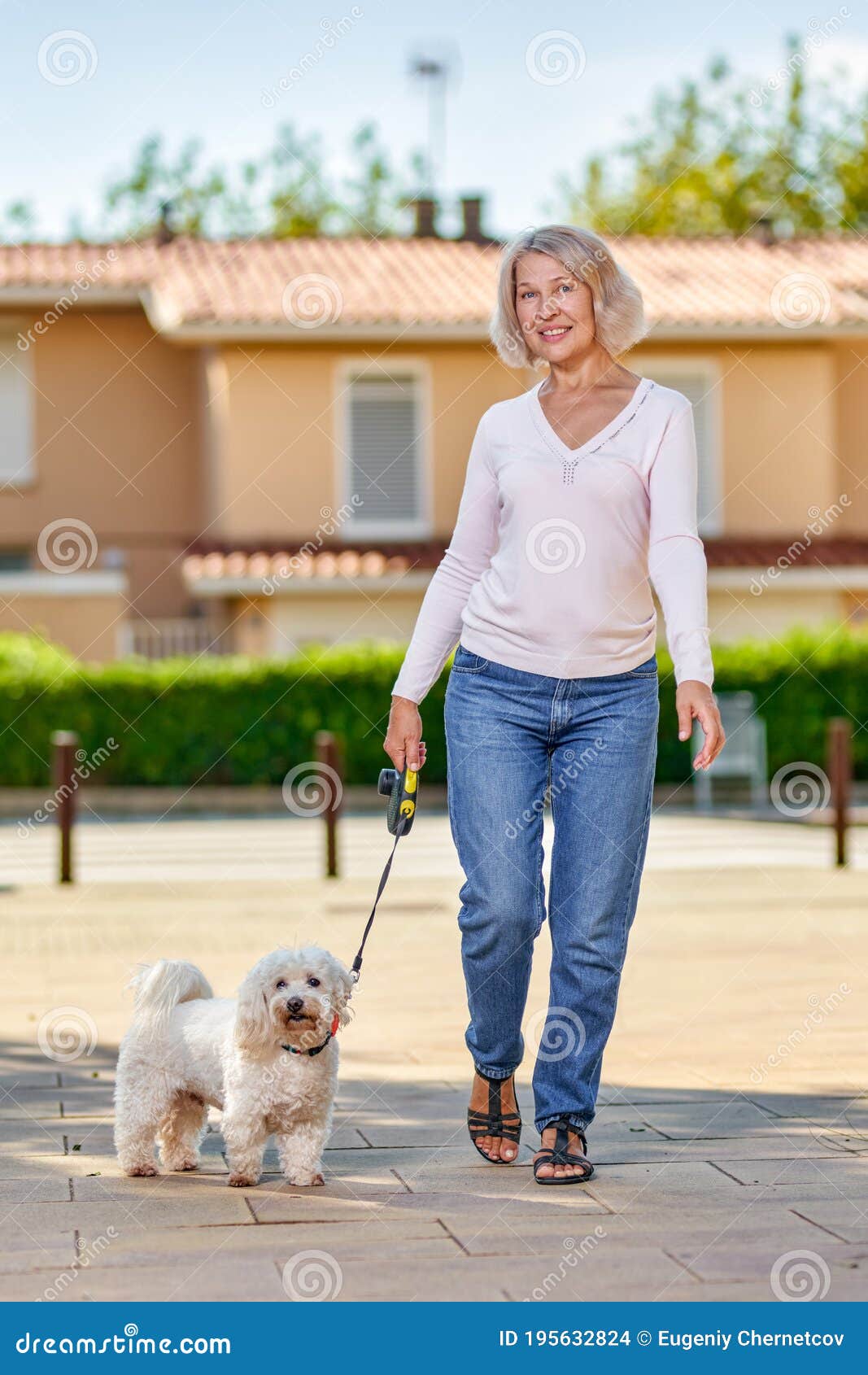 Elderly Woman Walking with a Dog Outdoors Stock Photo - Image of canine ...