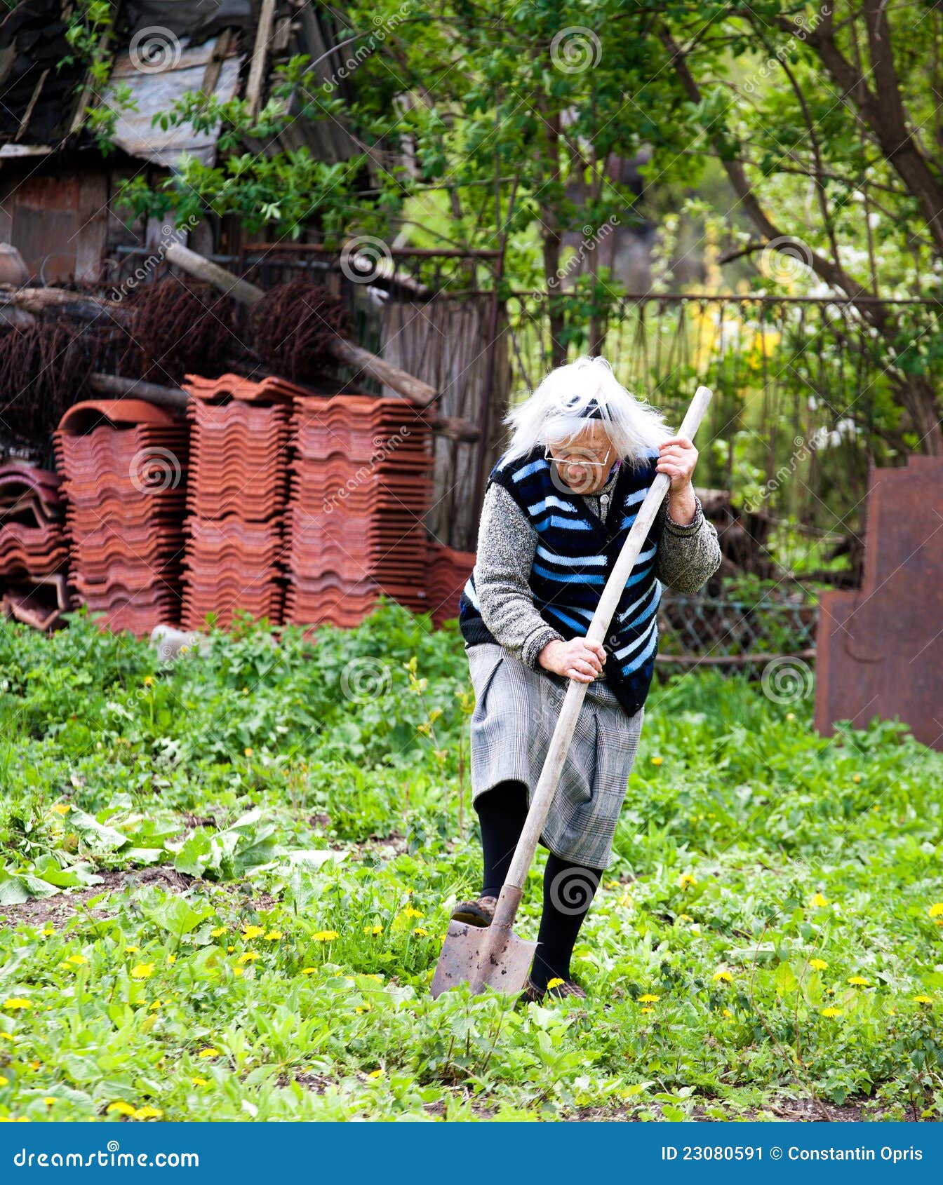 Elderly woman working stock image. Image of remote, hard - 23080591