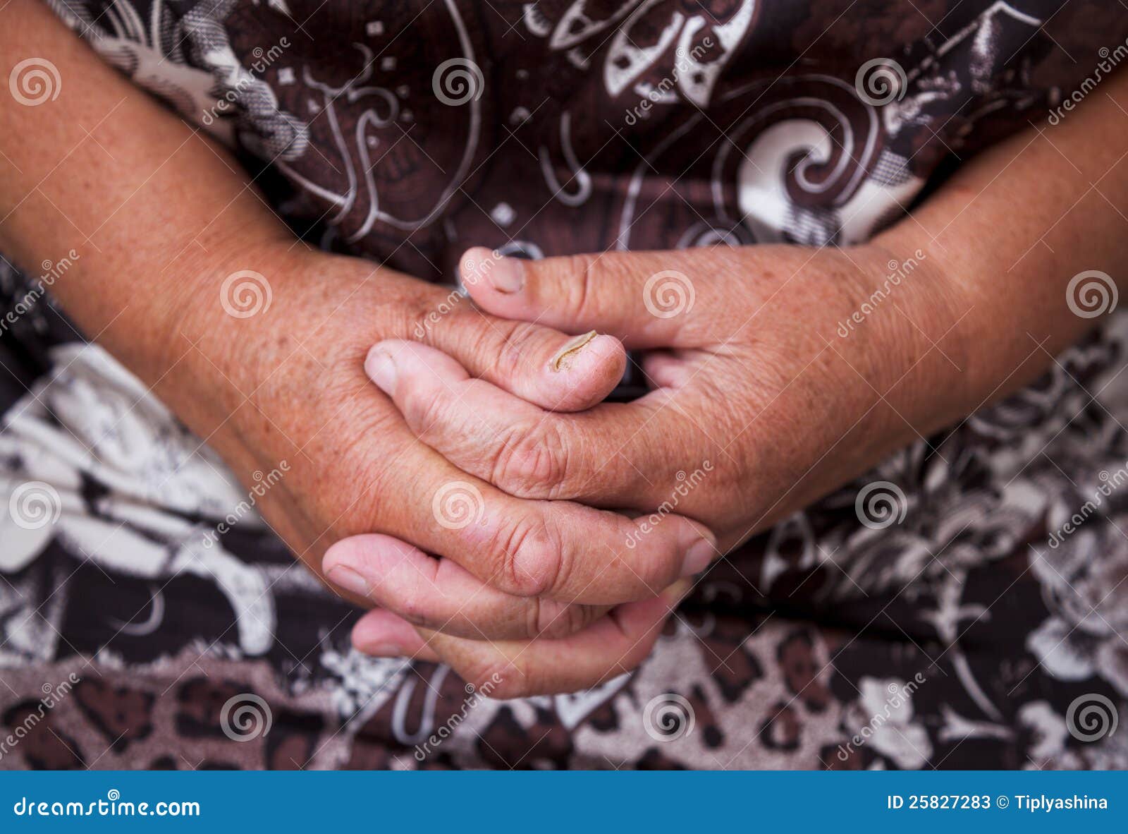 Elderly Womans Hand stock image. Image of human, holding - 25827283