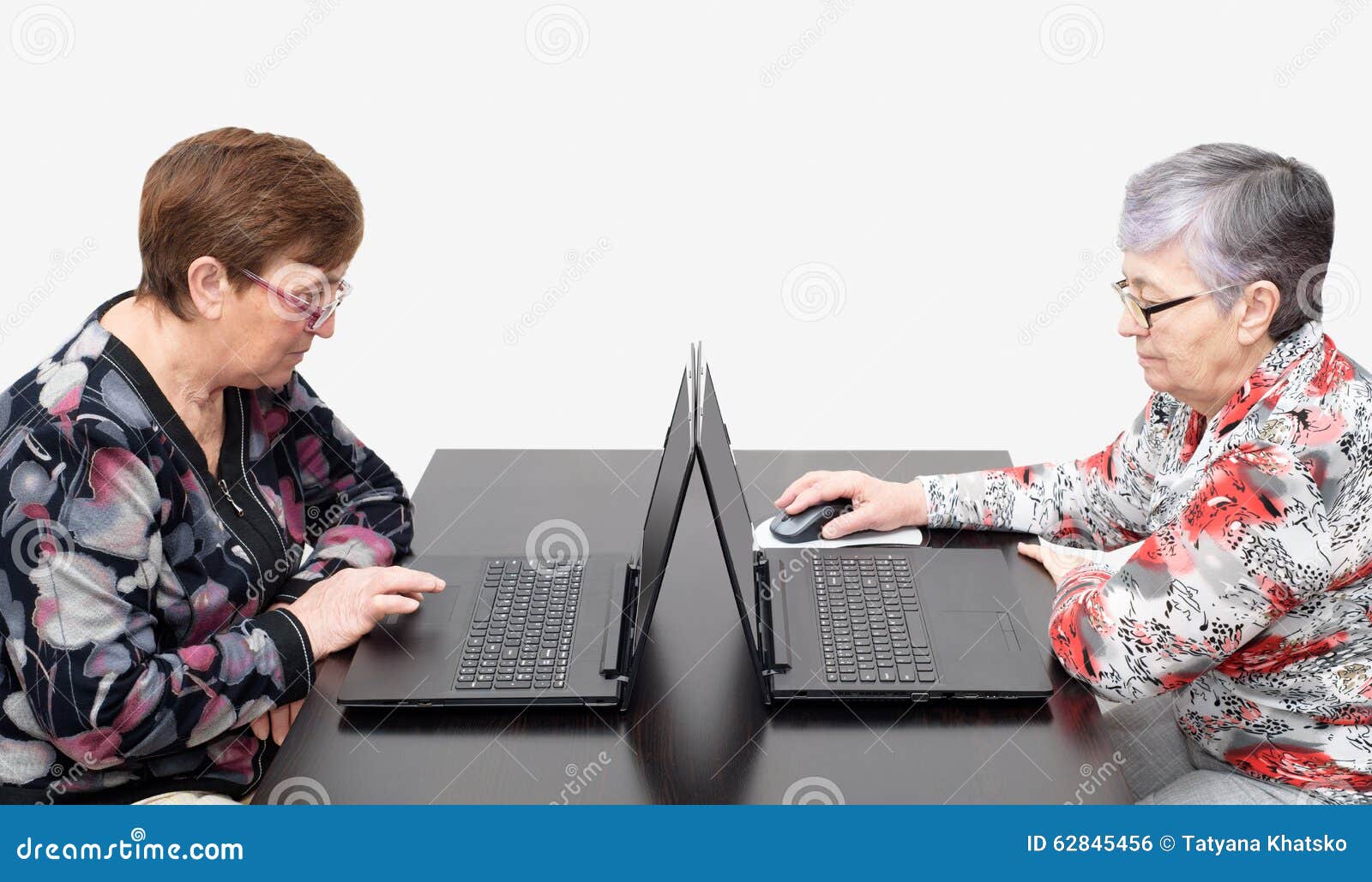 Elderly women with laptops stock photo. Image of adults - 62845456