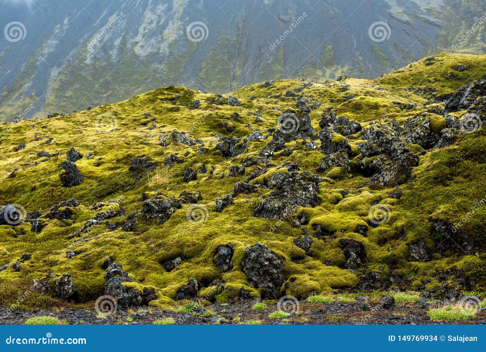 Eldhraun Lava Field in Iceland Stock Photo - Image of barren ...