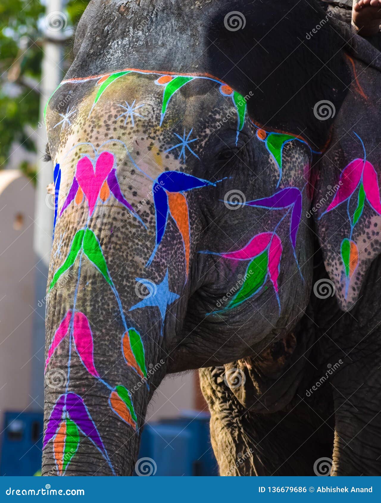 Ele-patterns stock photo. Image of vibrant, colors, elephant - 136679686