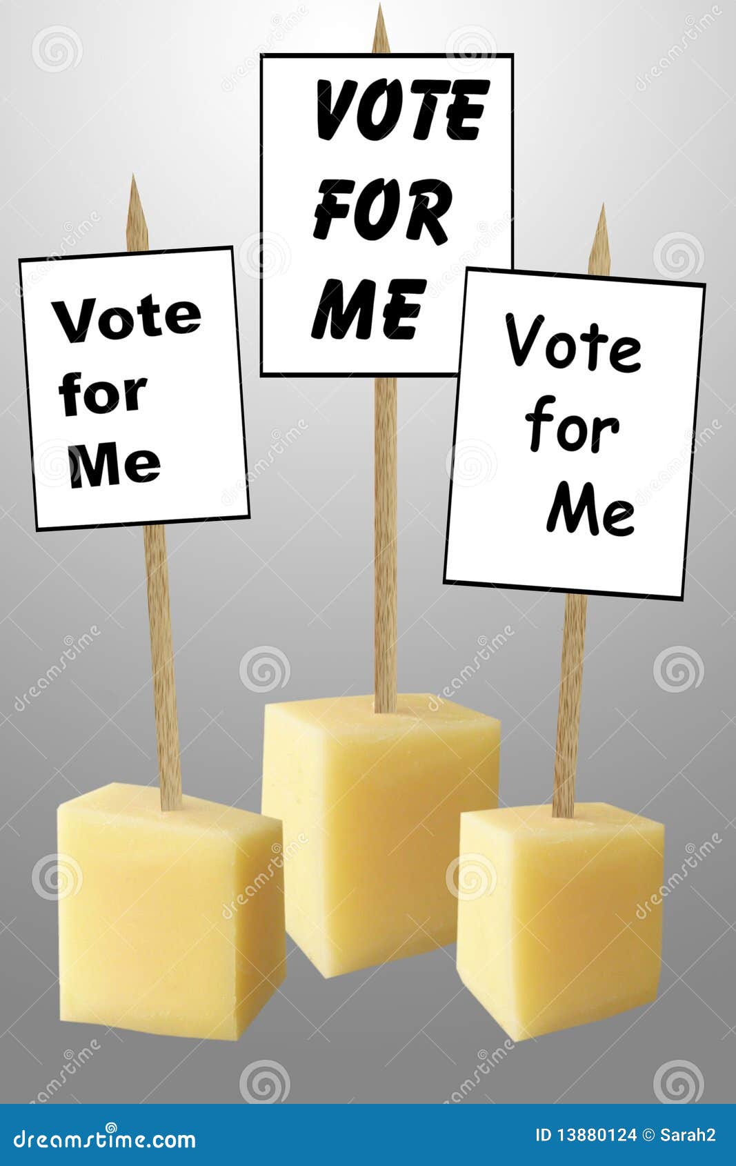 Election stock photo. Image of elect, placard, politicians - 13880124