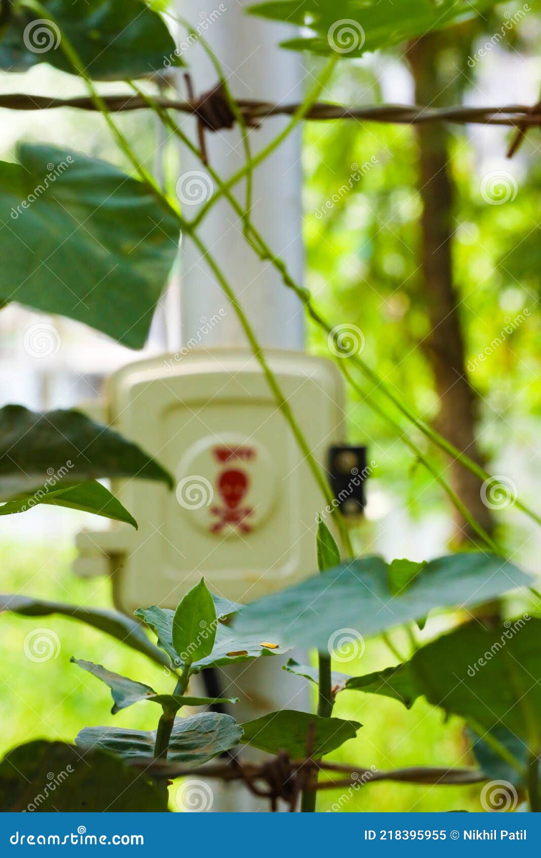 Electric Box with Danger Symbol on Street Electric Poll Stock Image ...