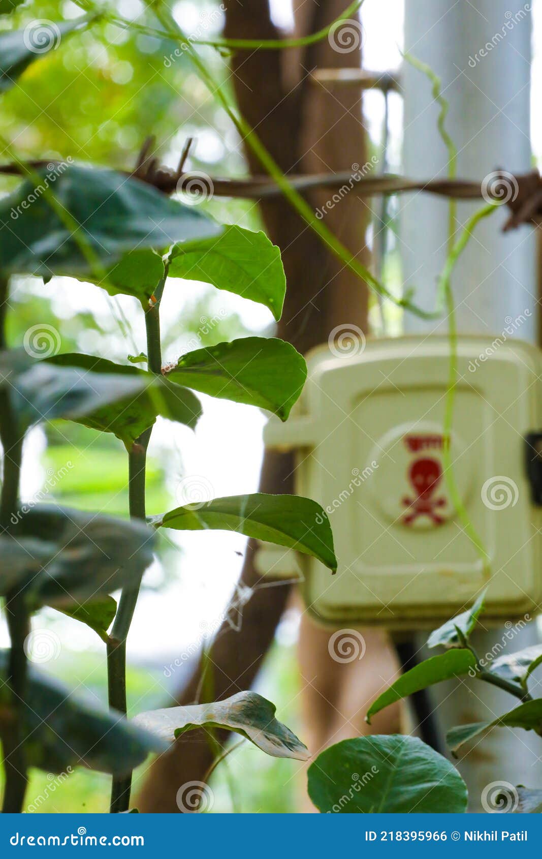 Electric Box with Danger Symbol on Street Electric Poll Stock Photo ...