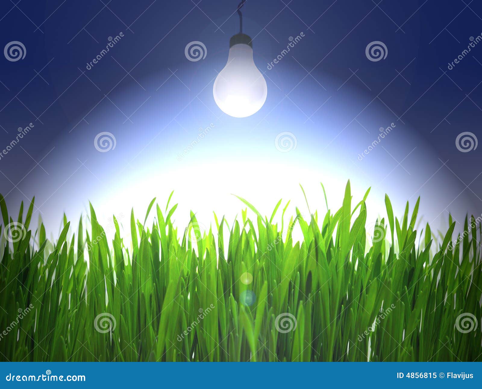 Electric bulb shine stock image. Image of electric, saver - 4856815