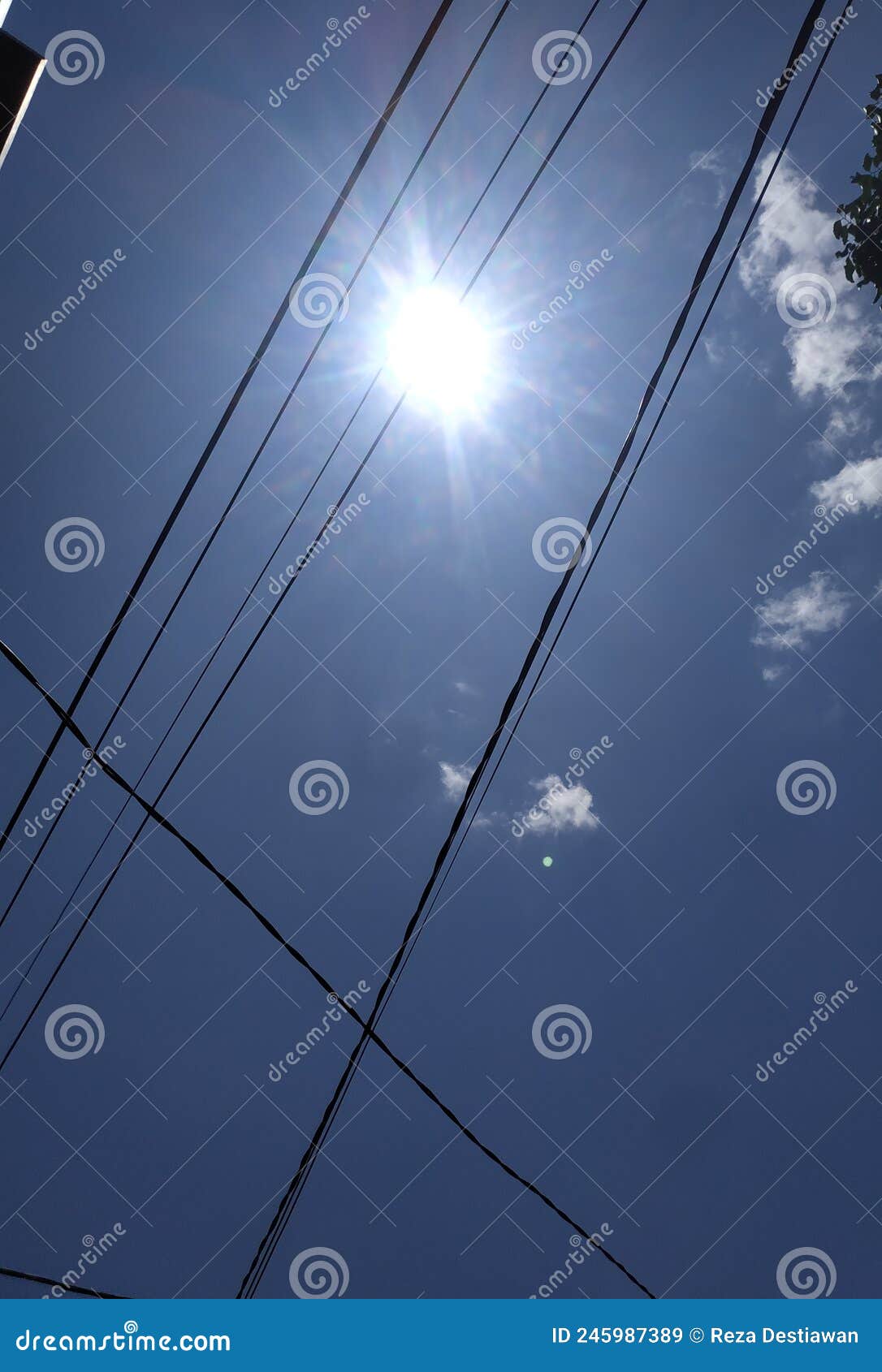 Electric Cables on the Background of the Sun and Blue Clear Sky. Stock ...