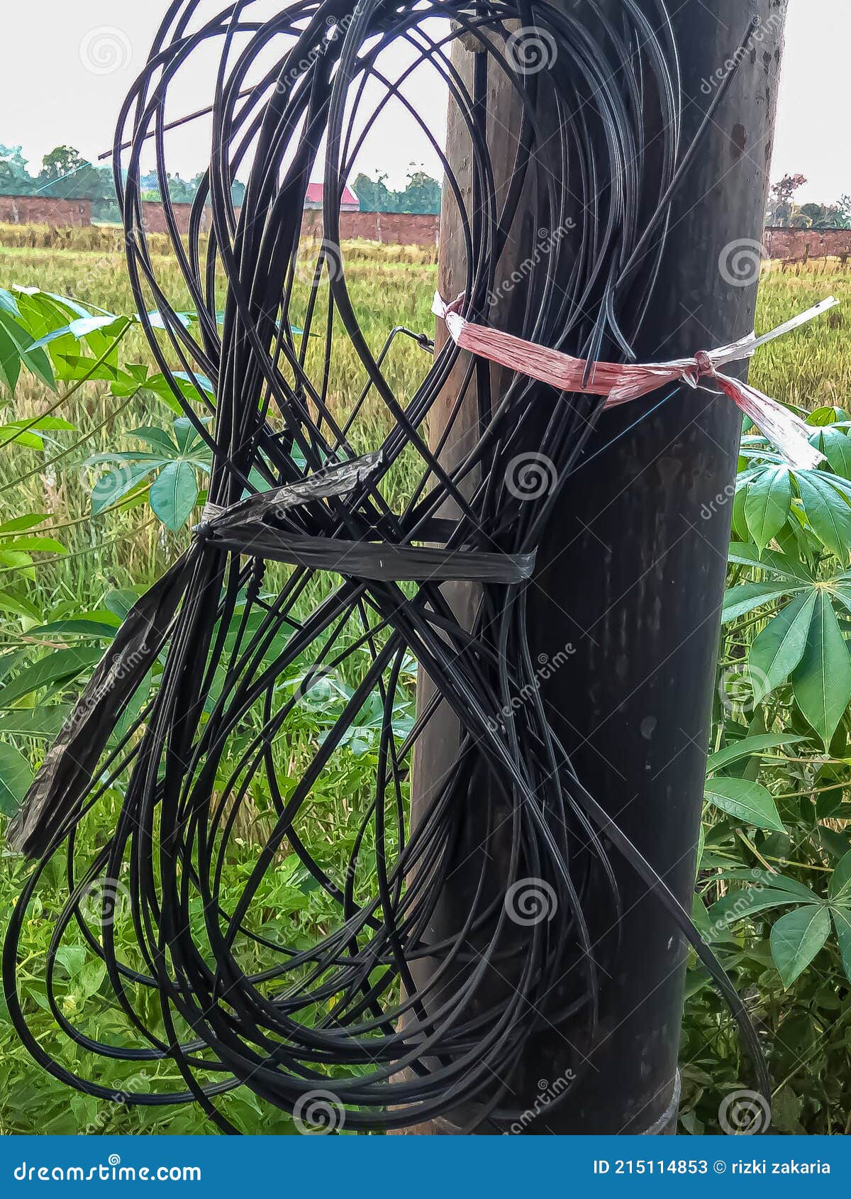 Electric Cables Coiled Up in Electric Poles Stock Image - Image of ...