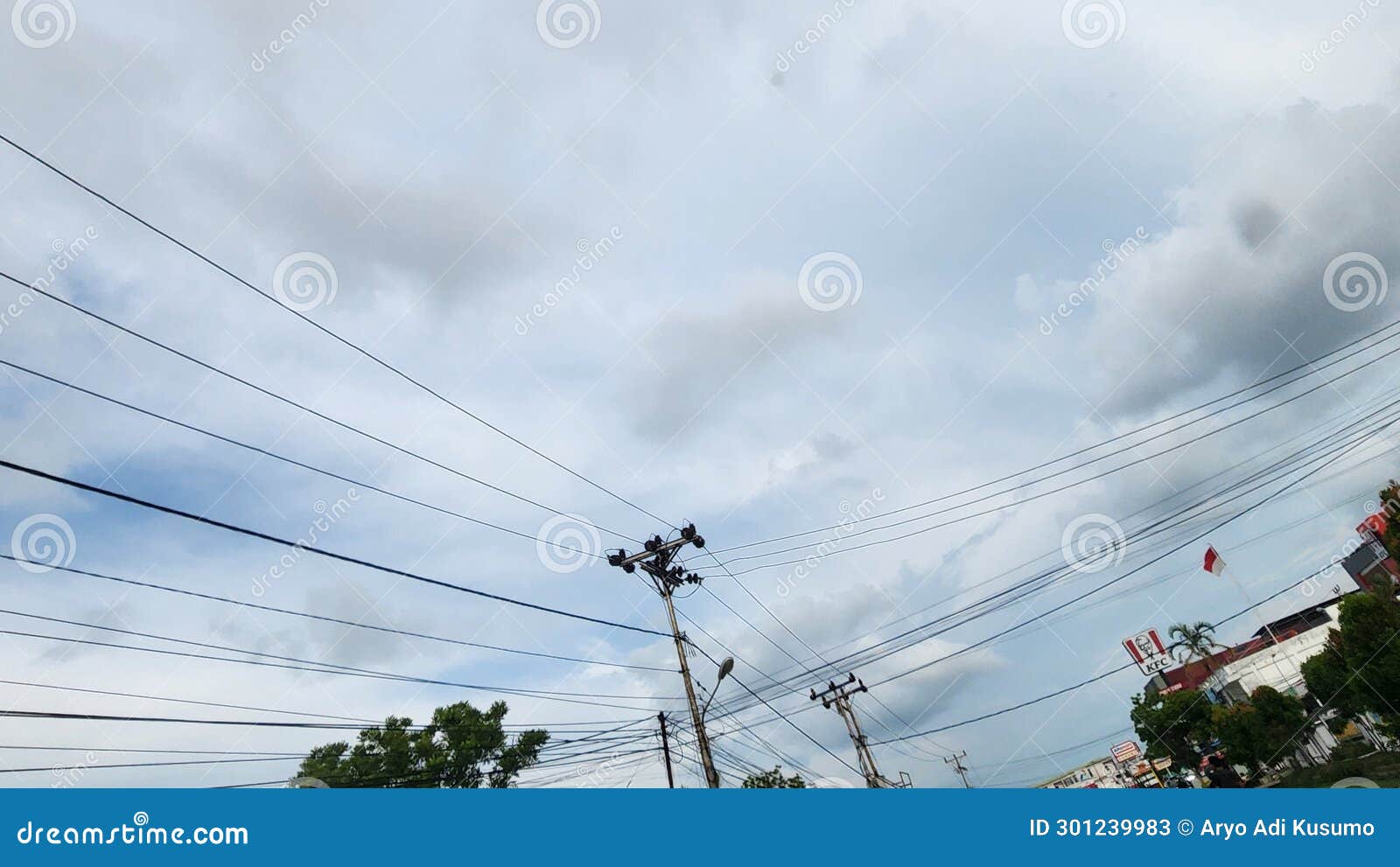 Electric Cables on the Side of the Road Editorial Stock Photo - Image ...