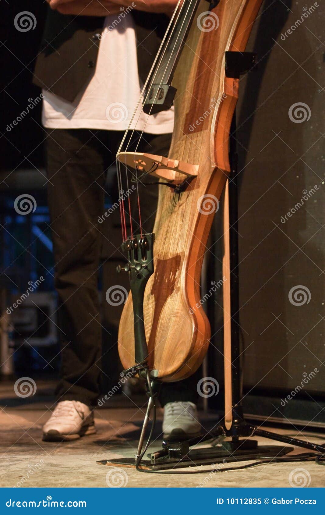 Electric Contrabass with the Artist on the Stage Stock Image - Image of ...