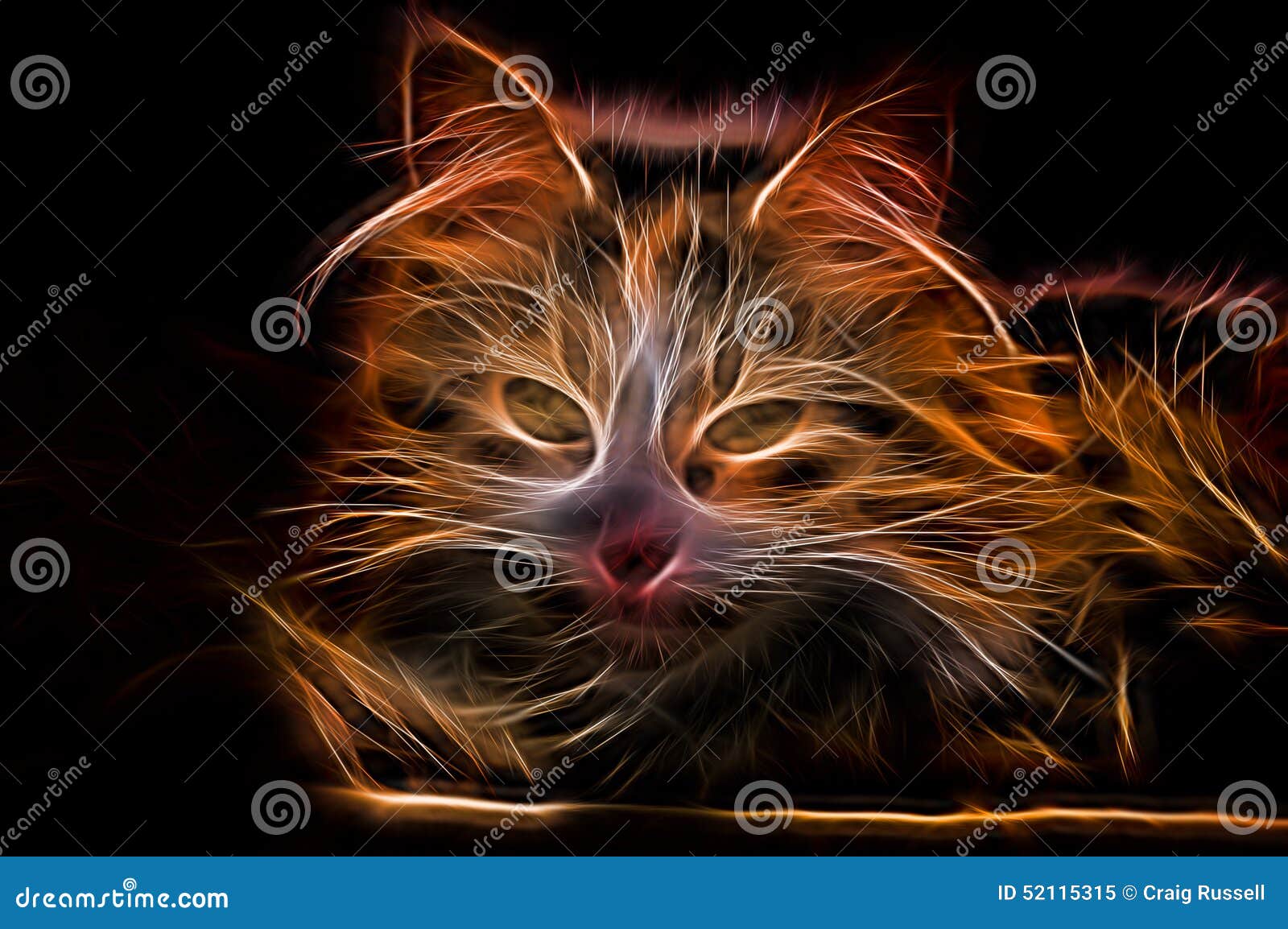 Electric Effect Glowing Cat Stock Illustration - Illustration of ...