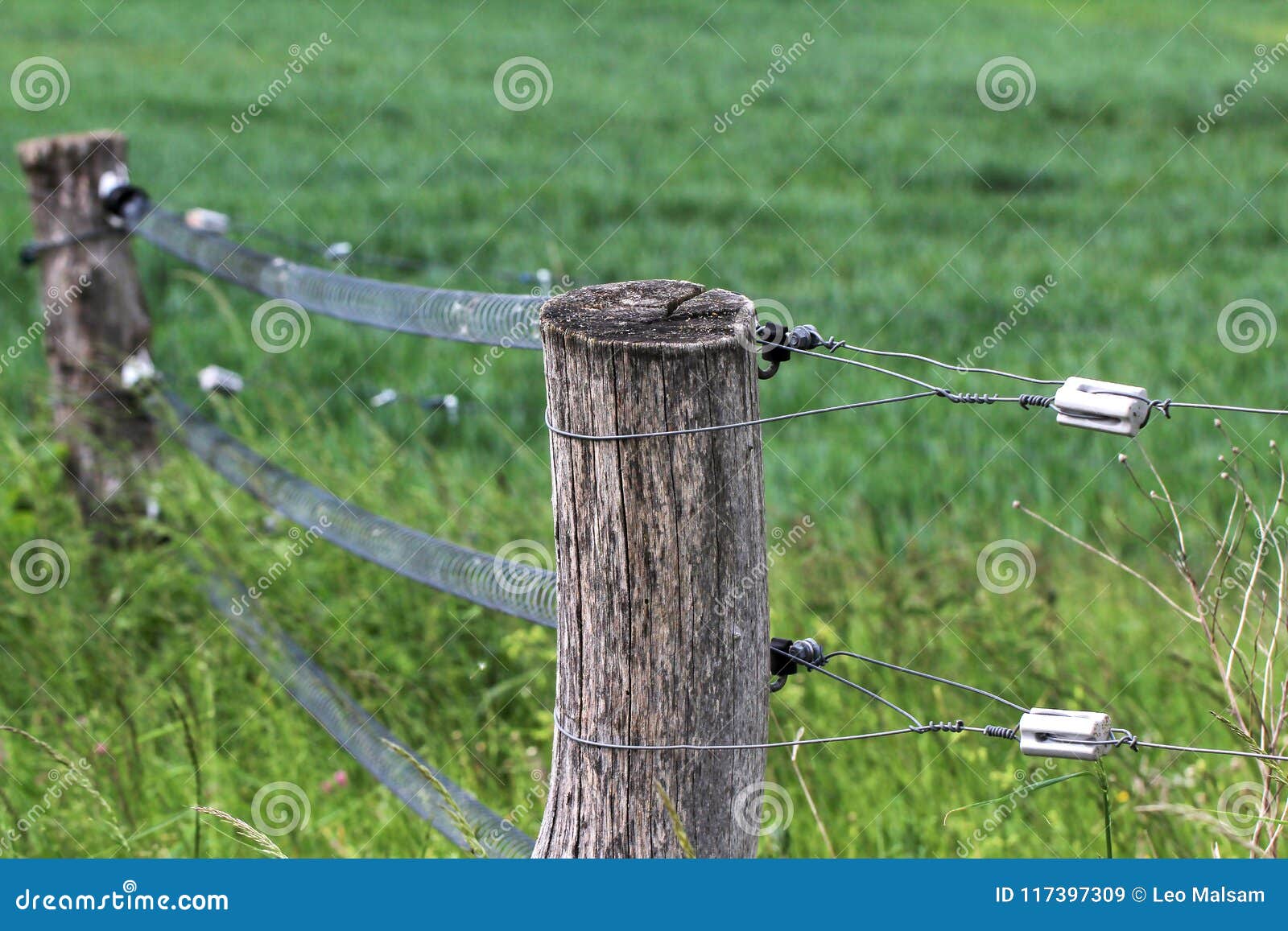 Electric Fence in the Field Stock Image - Image of protection ...