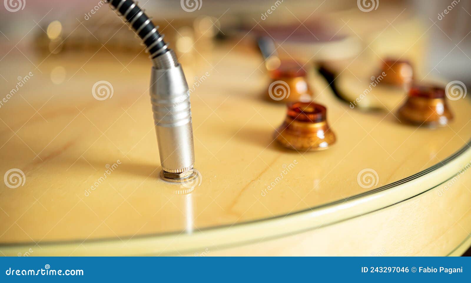 Electric Guitar Connected Plug in Cable Output Jack Close Up Stock ...