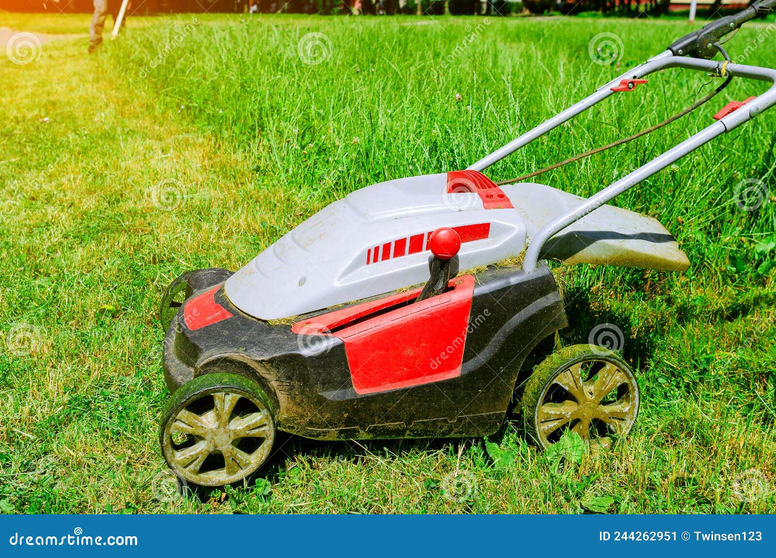 Electric Hand Lawn Mower Mows the Grass. Close-up Stock Image - Image ...