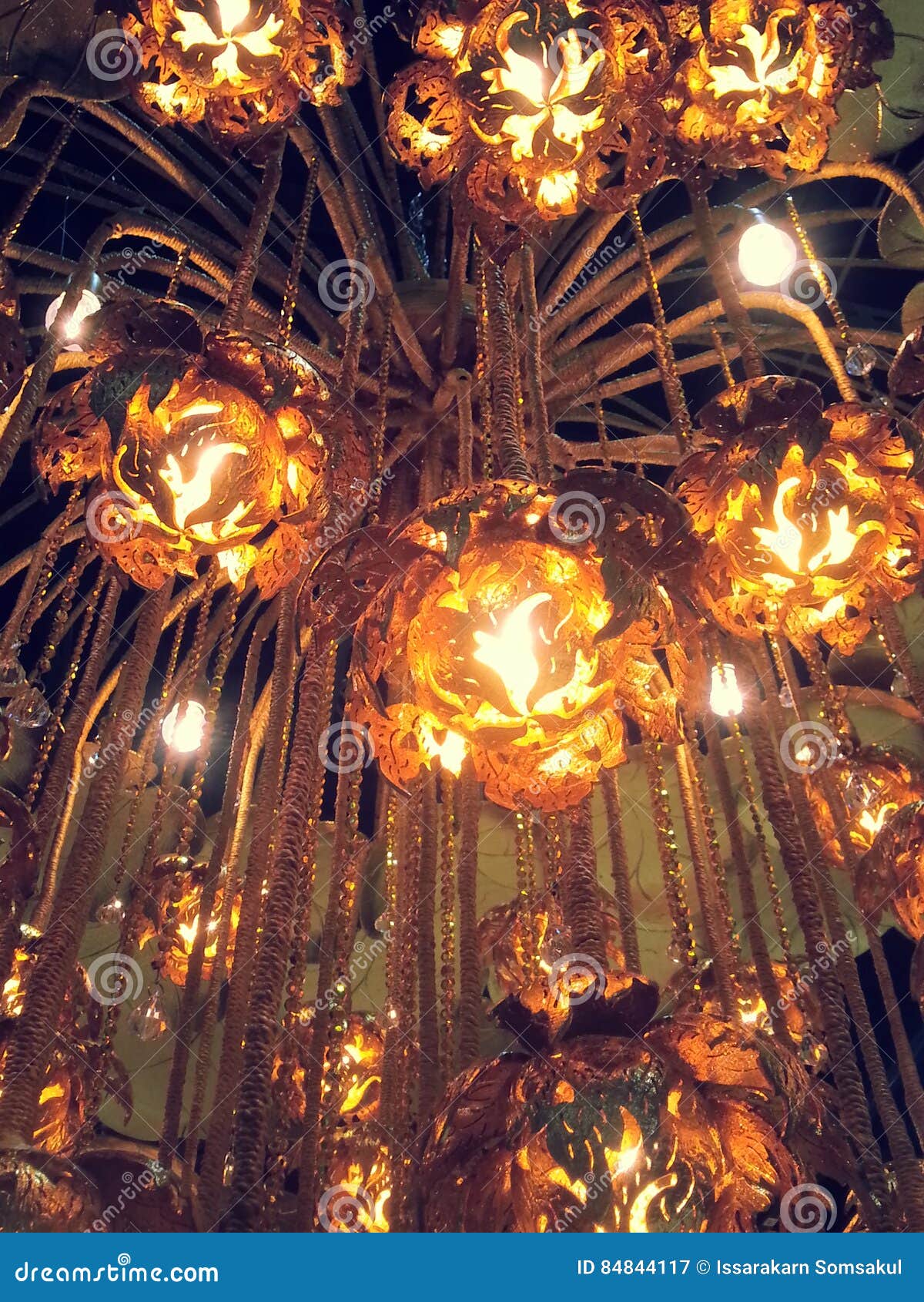 Electric Lamps Coconut Shells. Stock Image - Image of lamp, valuable ...