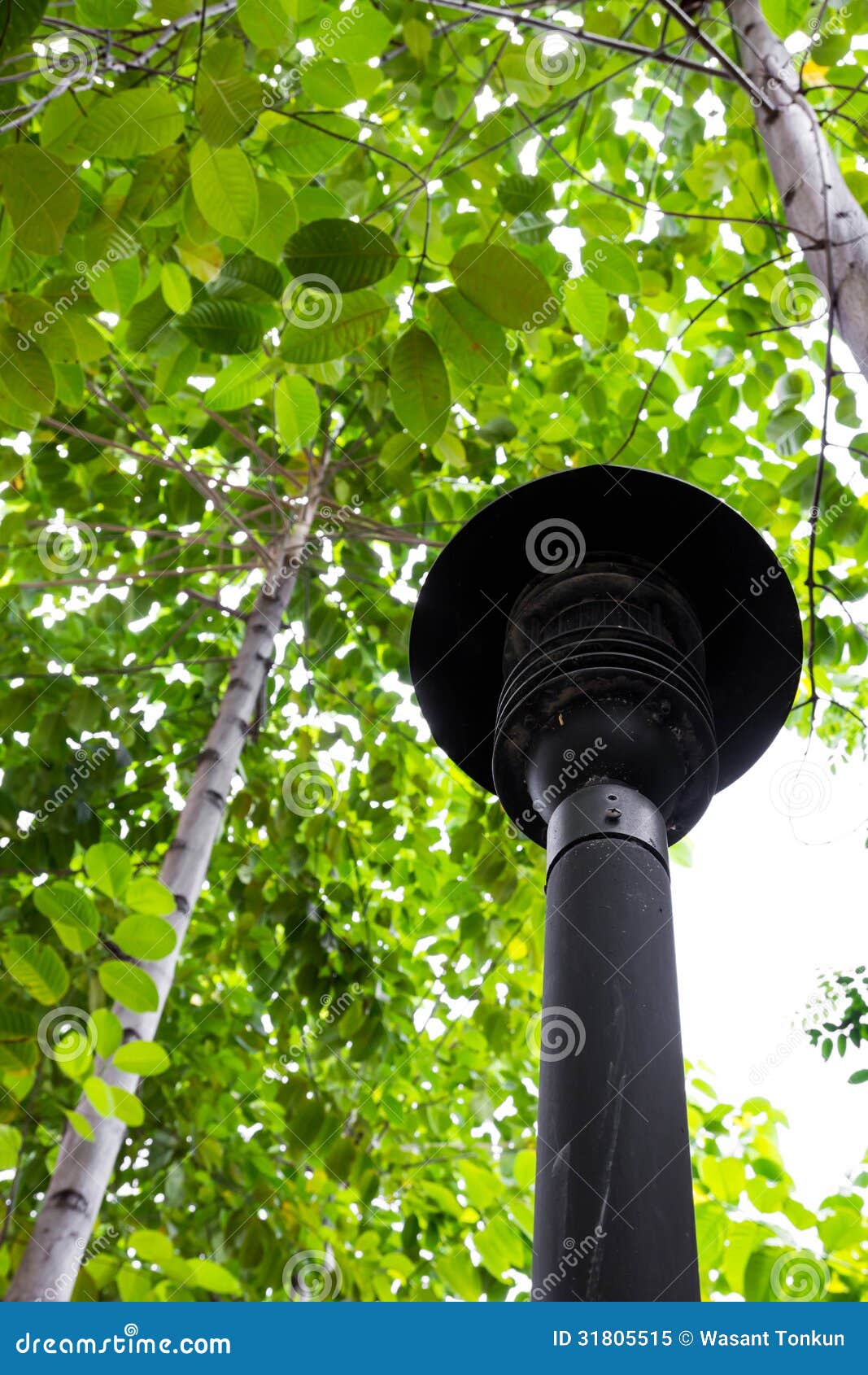 Electric light pole stock image. Image of nature, peaceful - 31805515