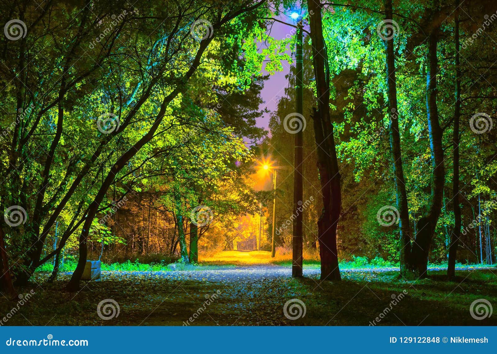 Electric Lighting in the Park at Night with Lamps with Different Color ...
