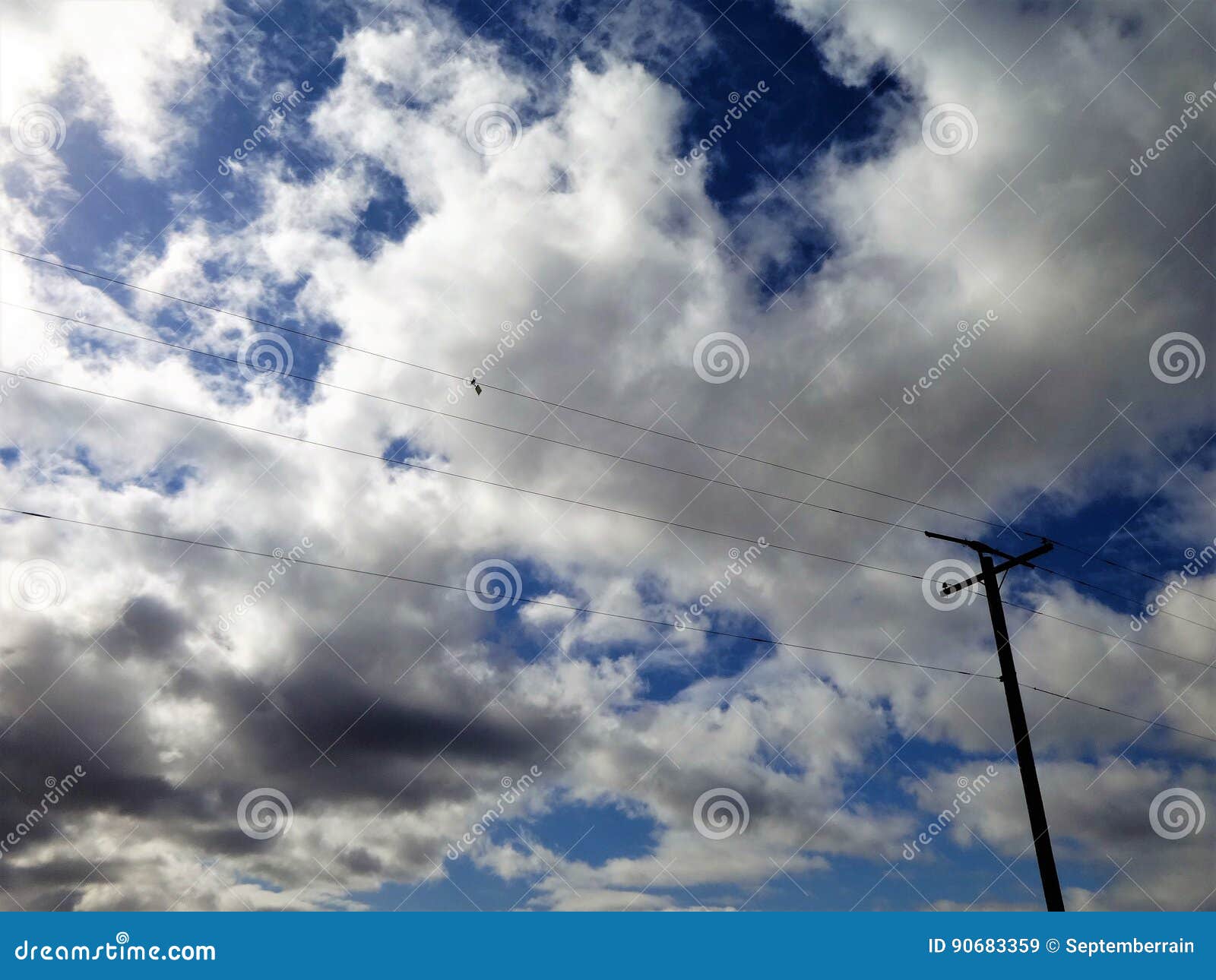 Electric Lines Under Unstable Weather Stock Image - Image of background ...