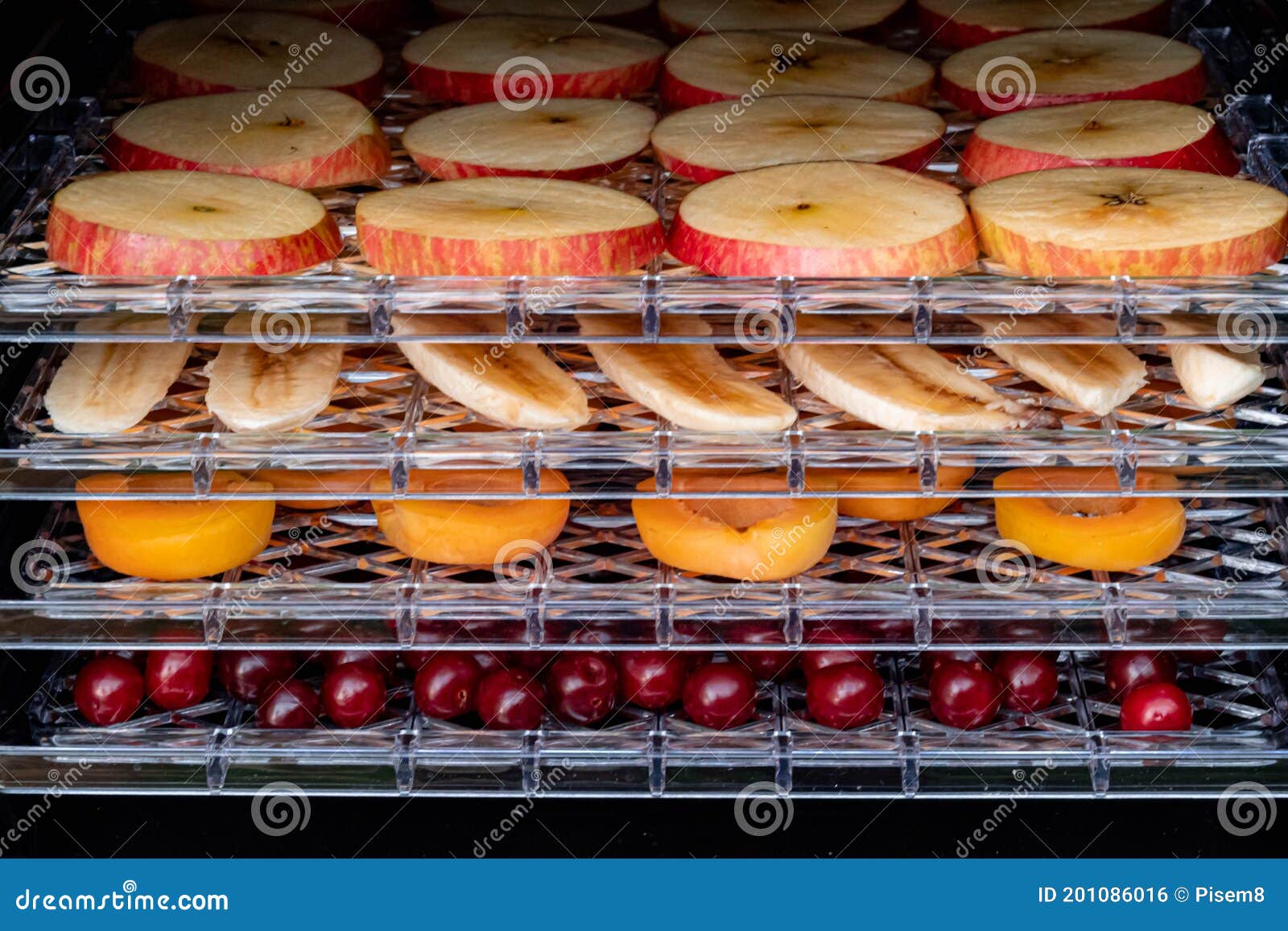 Electric Machine for Home Drying and Dehydration Stock Photo - Image of ...