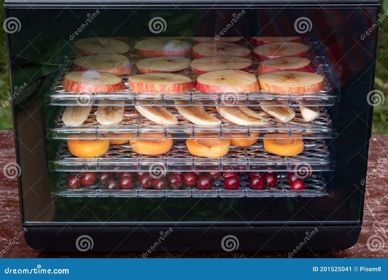Electric Machine for Home Drying and Dehydration Stock Image - Image of ...