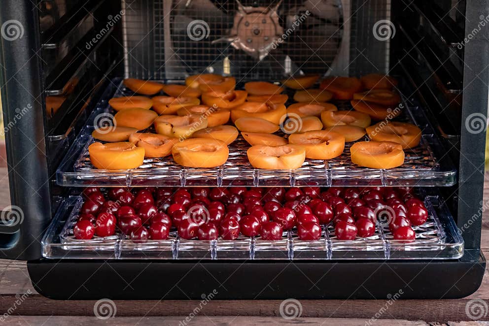 Electric Machine for Home Drying and Dehydration Stock Photo - Image of ...