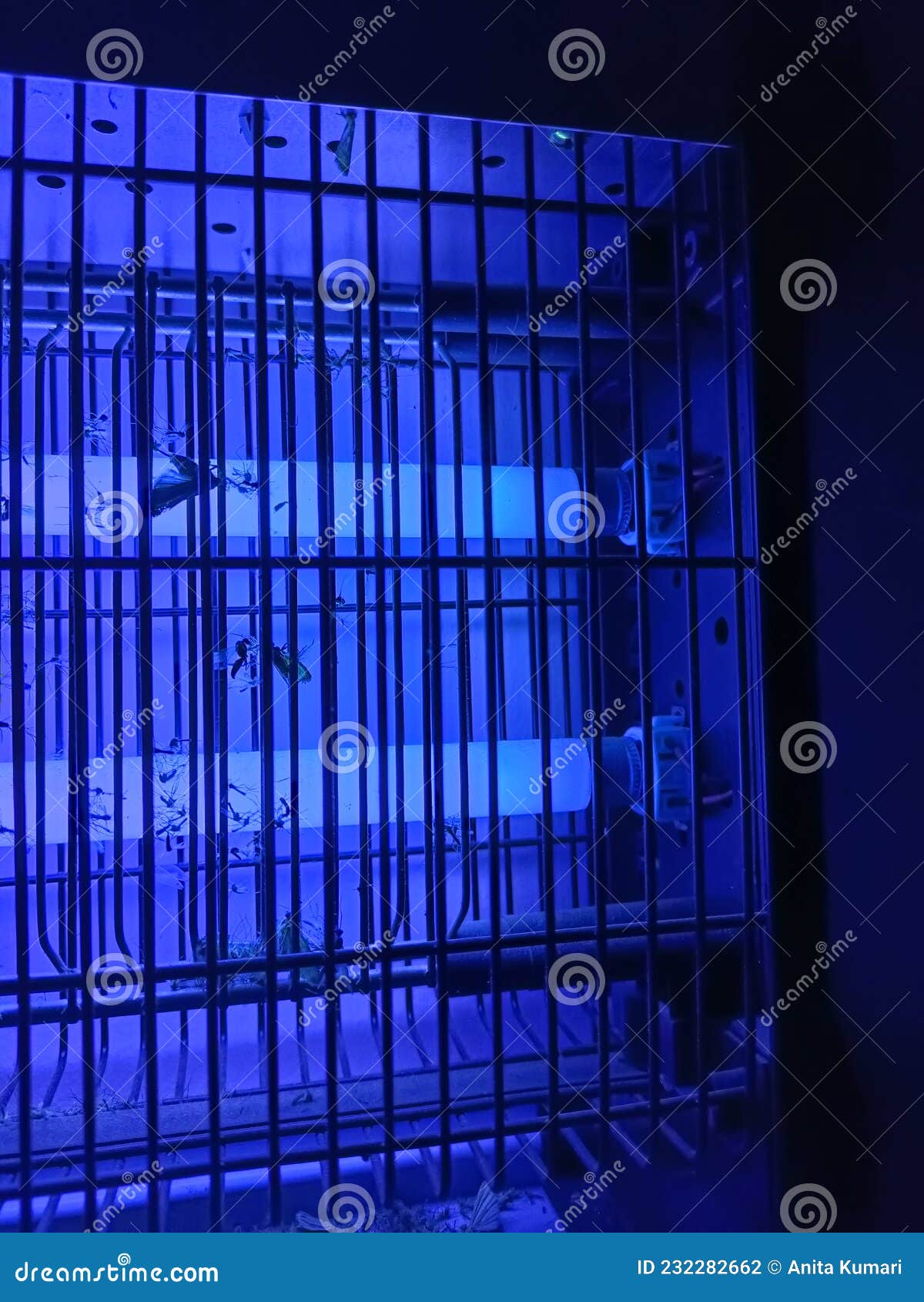 Electric Mosquito and Insect Zapper with Blue Lights Turned on Stock ...