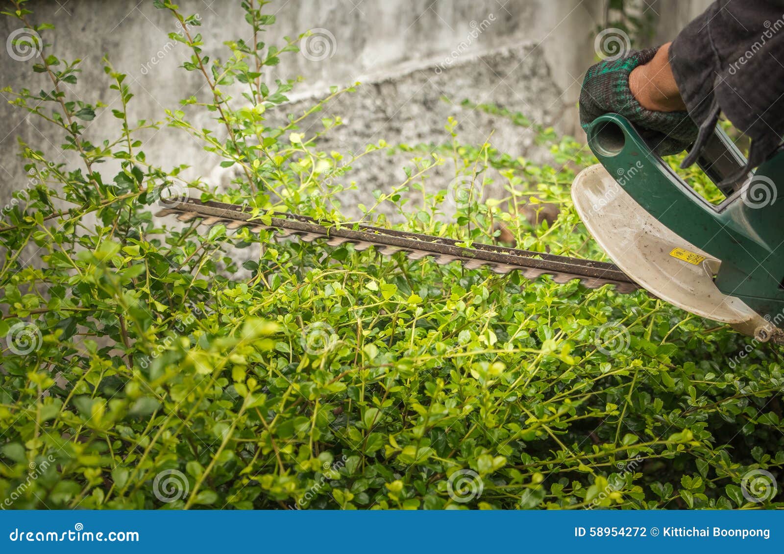 Electric Mower for Bushes Around Stock Photo - Image of landscaping ...