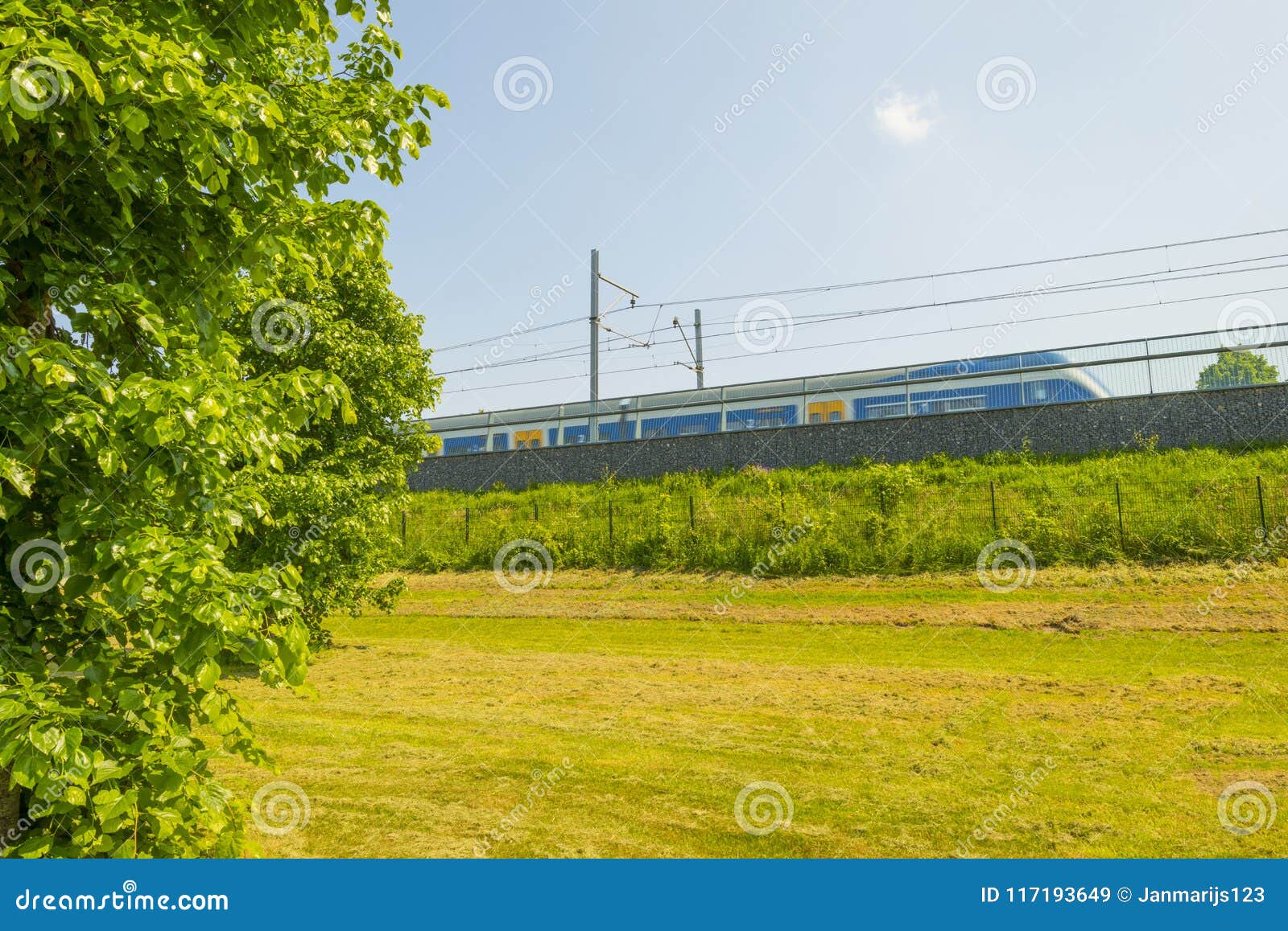 Train Riding Along a Meadow in Sunlight Stock Image - Image of ...