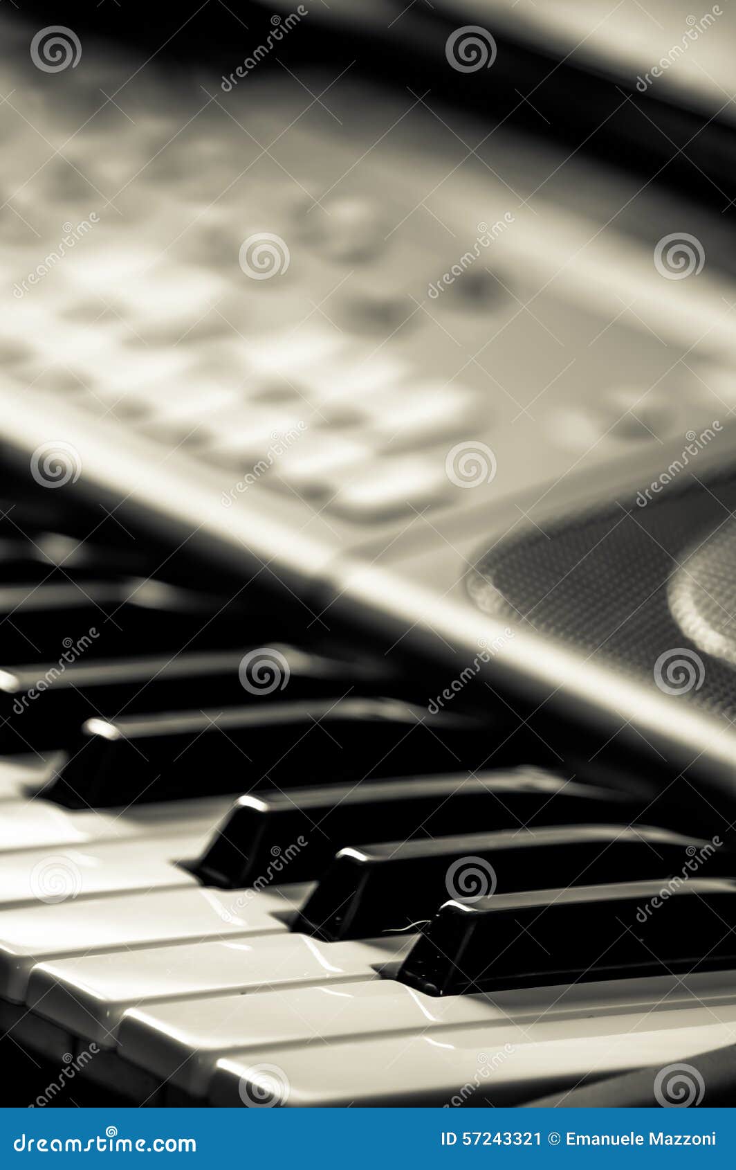 Piano Keybord Image.Fancy Keybord.Flower On A Piano Keybord.Black And ...