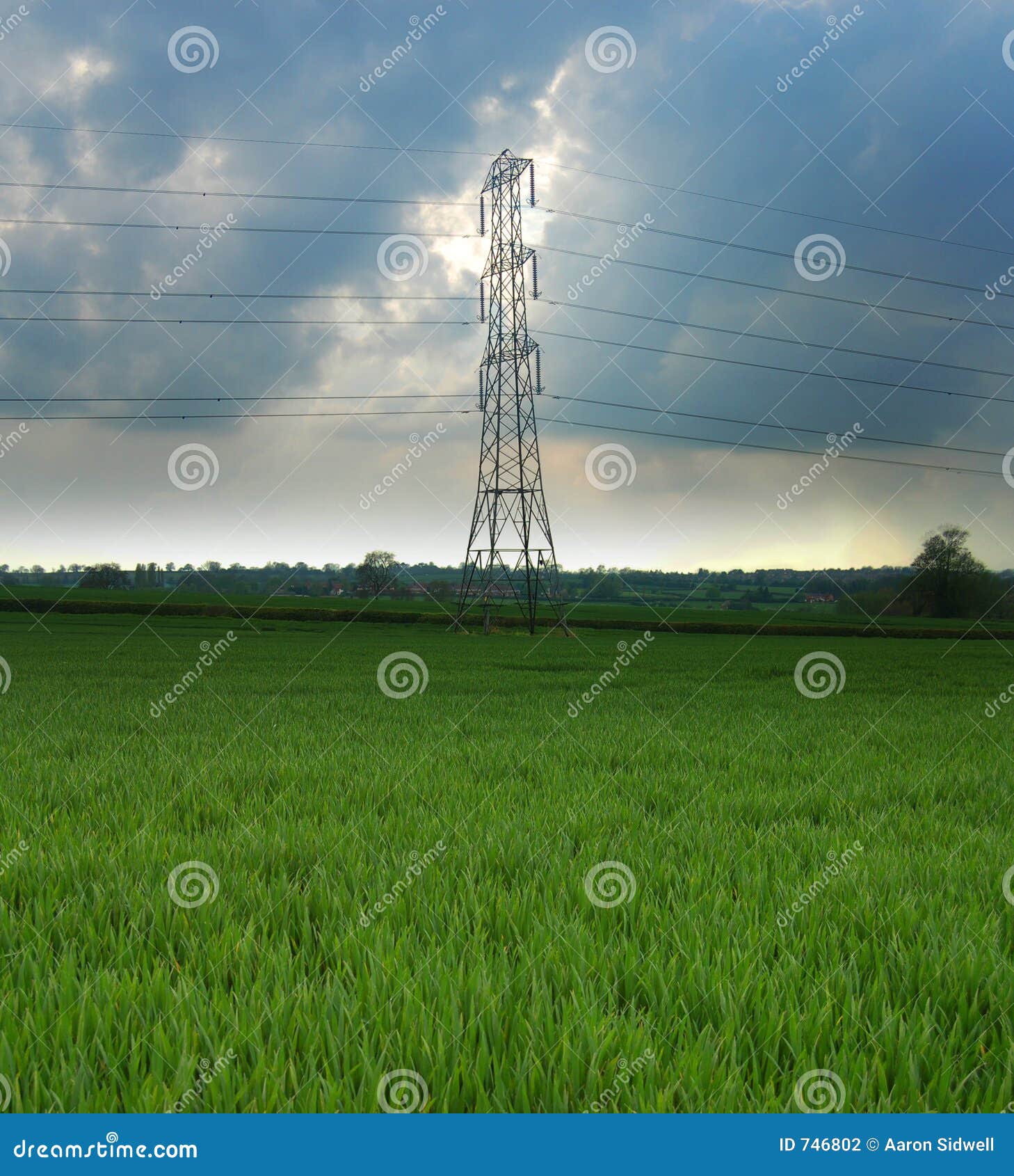 Electric Pilon in a Green Field Stock Photo - Image of outdoors ...