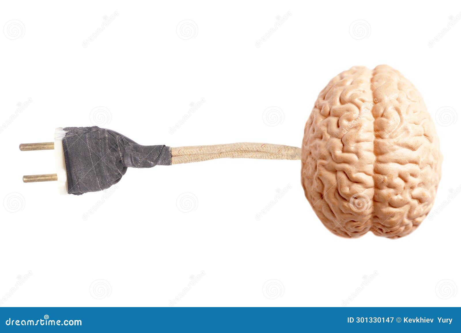 Electric Plug with Human Brain Anatomical Model Stock Image - Image of ...