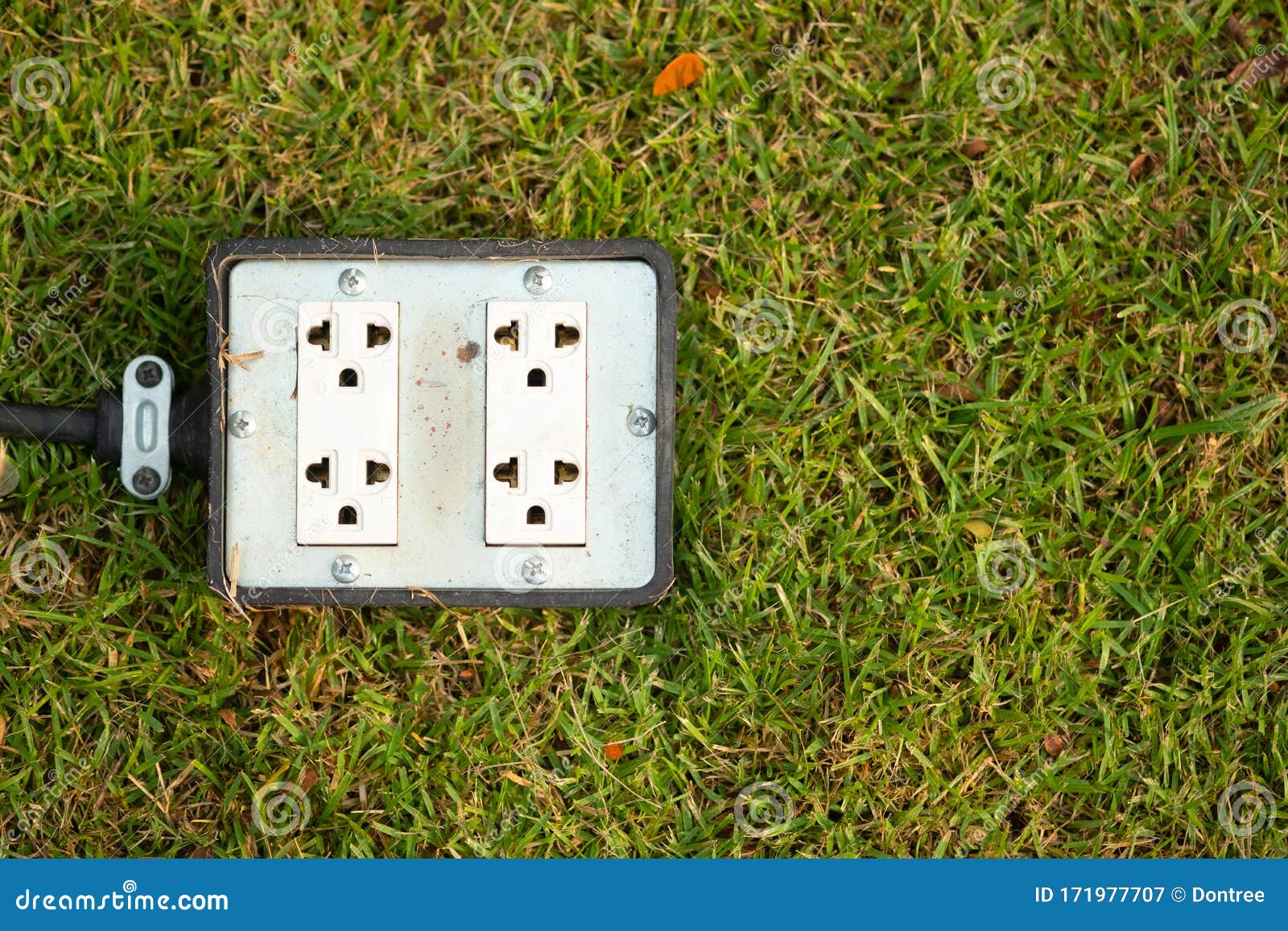 Electric Plug Socket in the Garden Stock Image - Image of ground ...