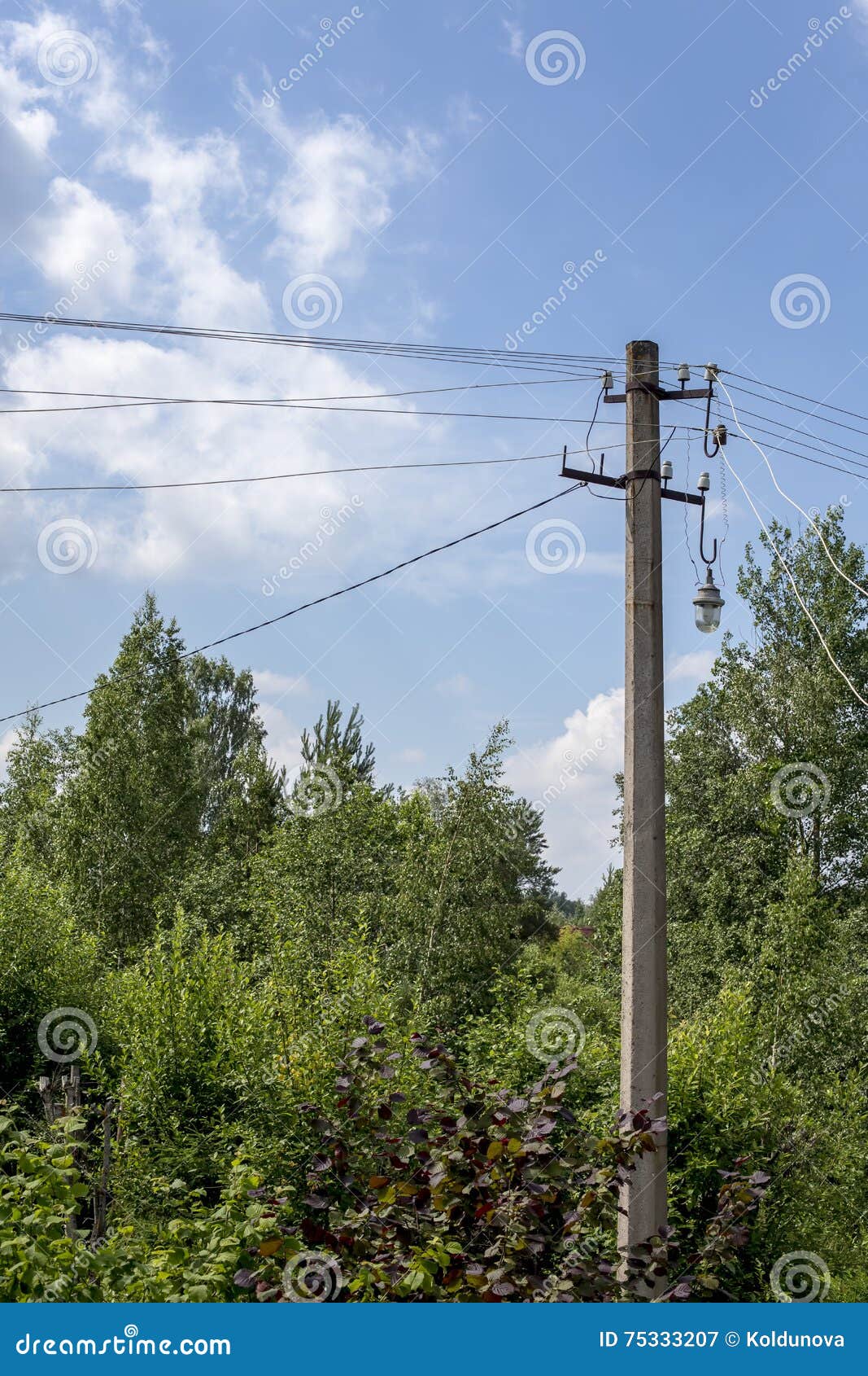 Electric Pole on the Background of Trees Stock Image - Image of country ...