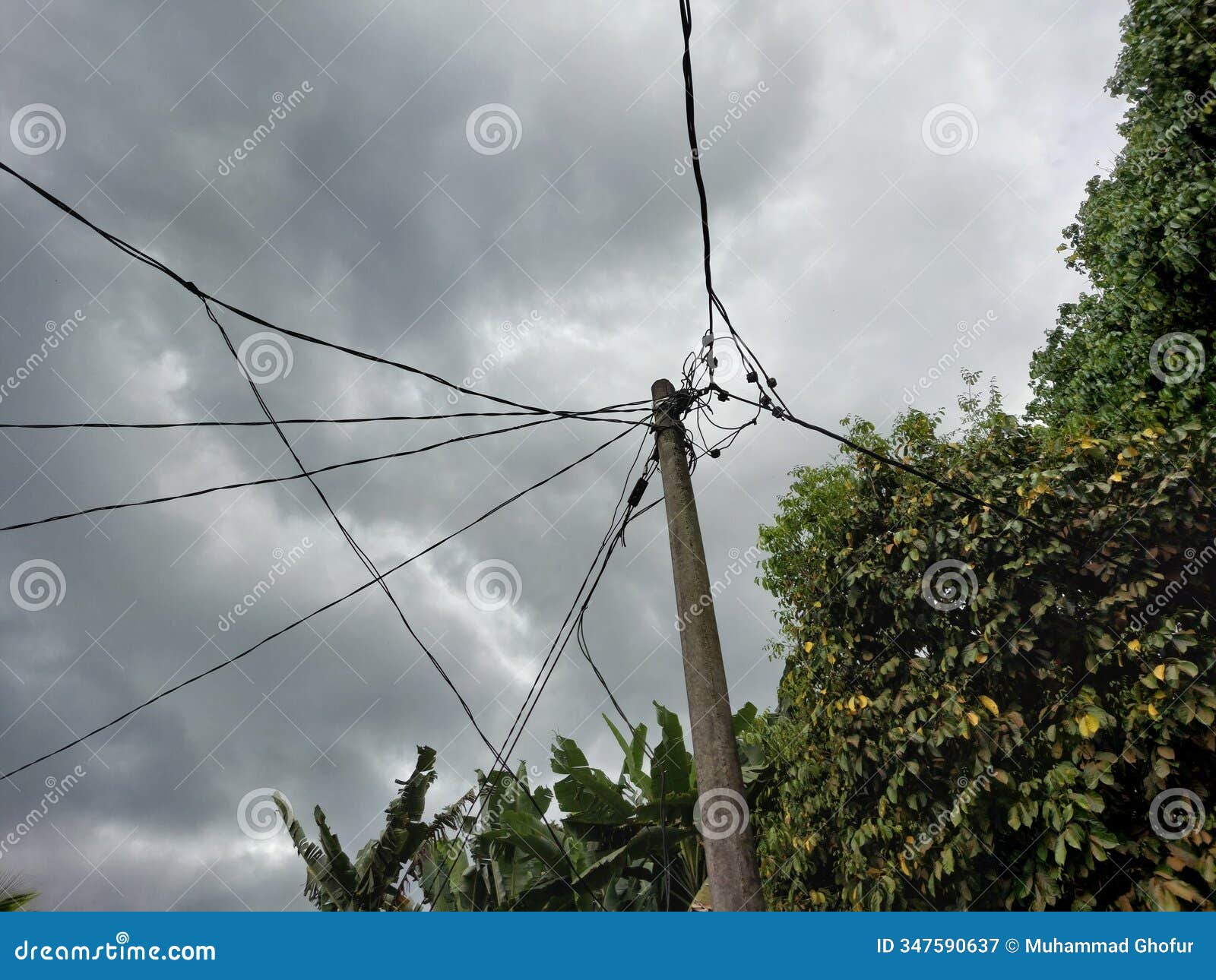 Electric Pole with Cables and Trees Around it Stock Image - Image of ...