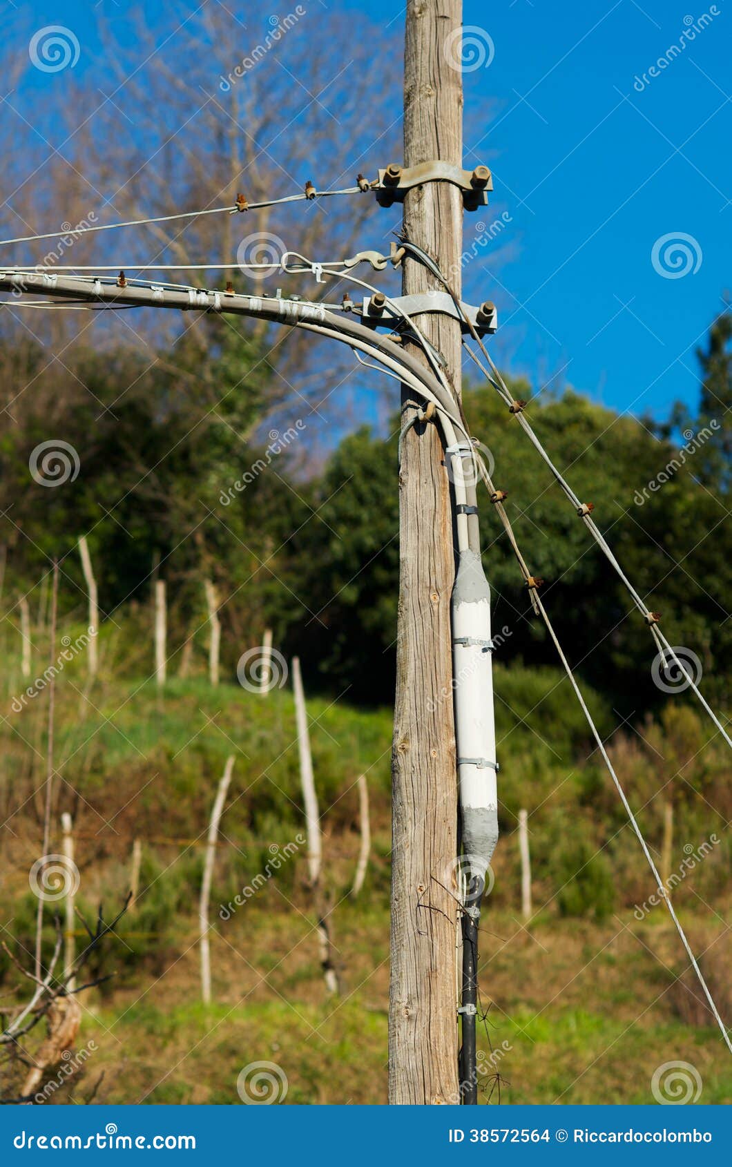 Electric pole stock photo. Image of black, area, industrial - 38572564